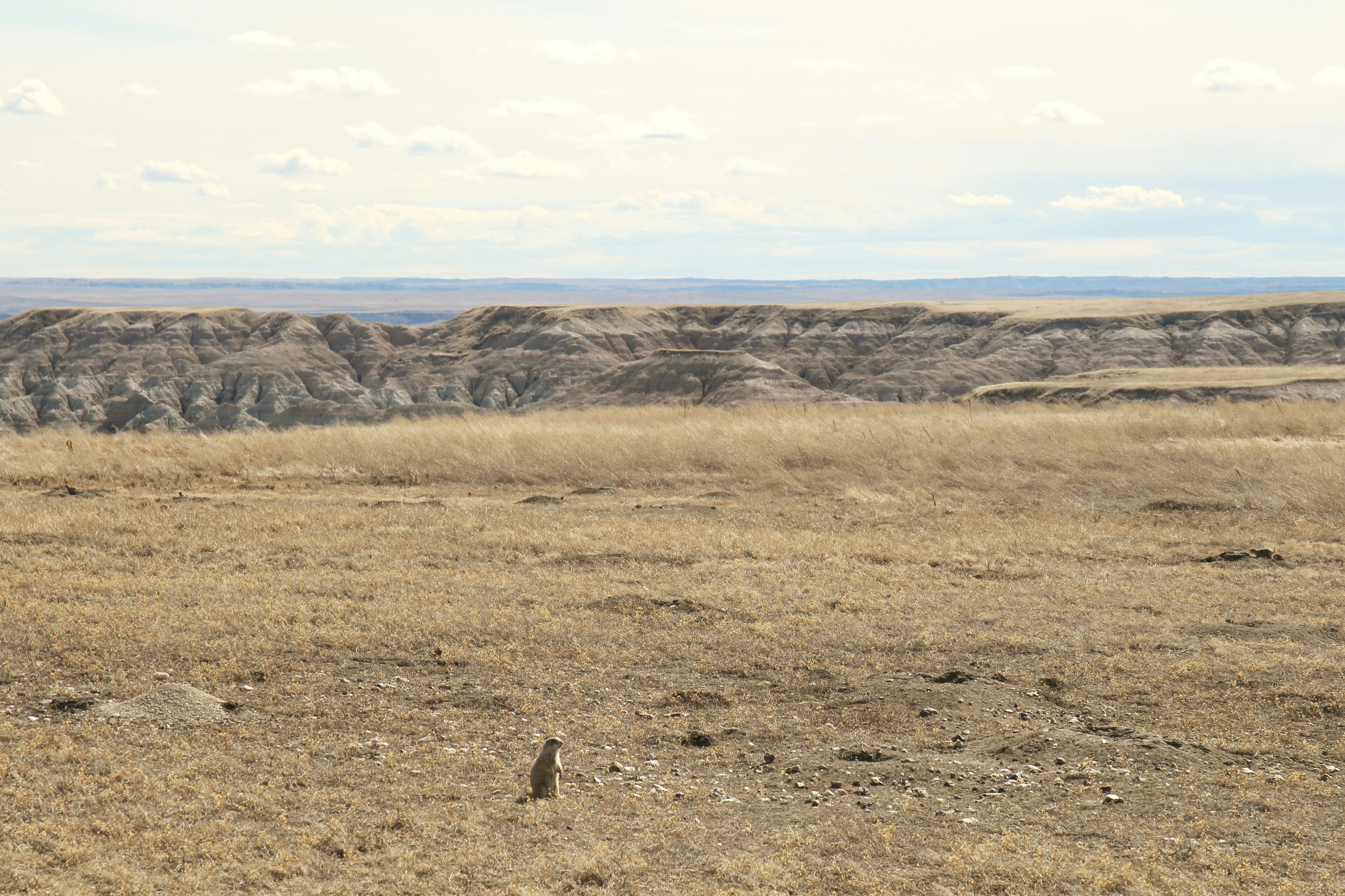 Vast brown grassland stretches toward distant rocky formations under a cloudy sky.