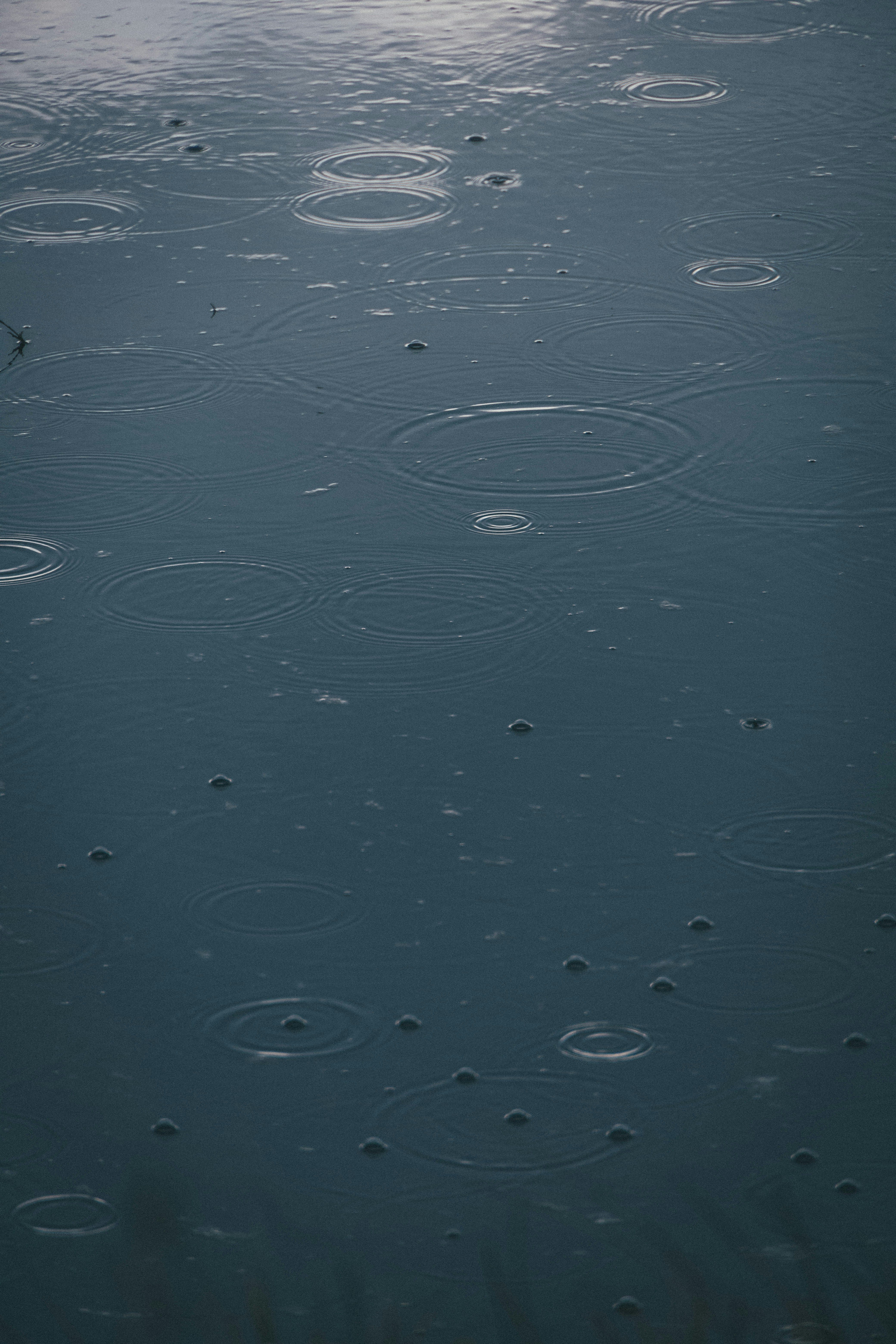 Rain drops on the surface of a body of water photo – Free Water Image ...