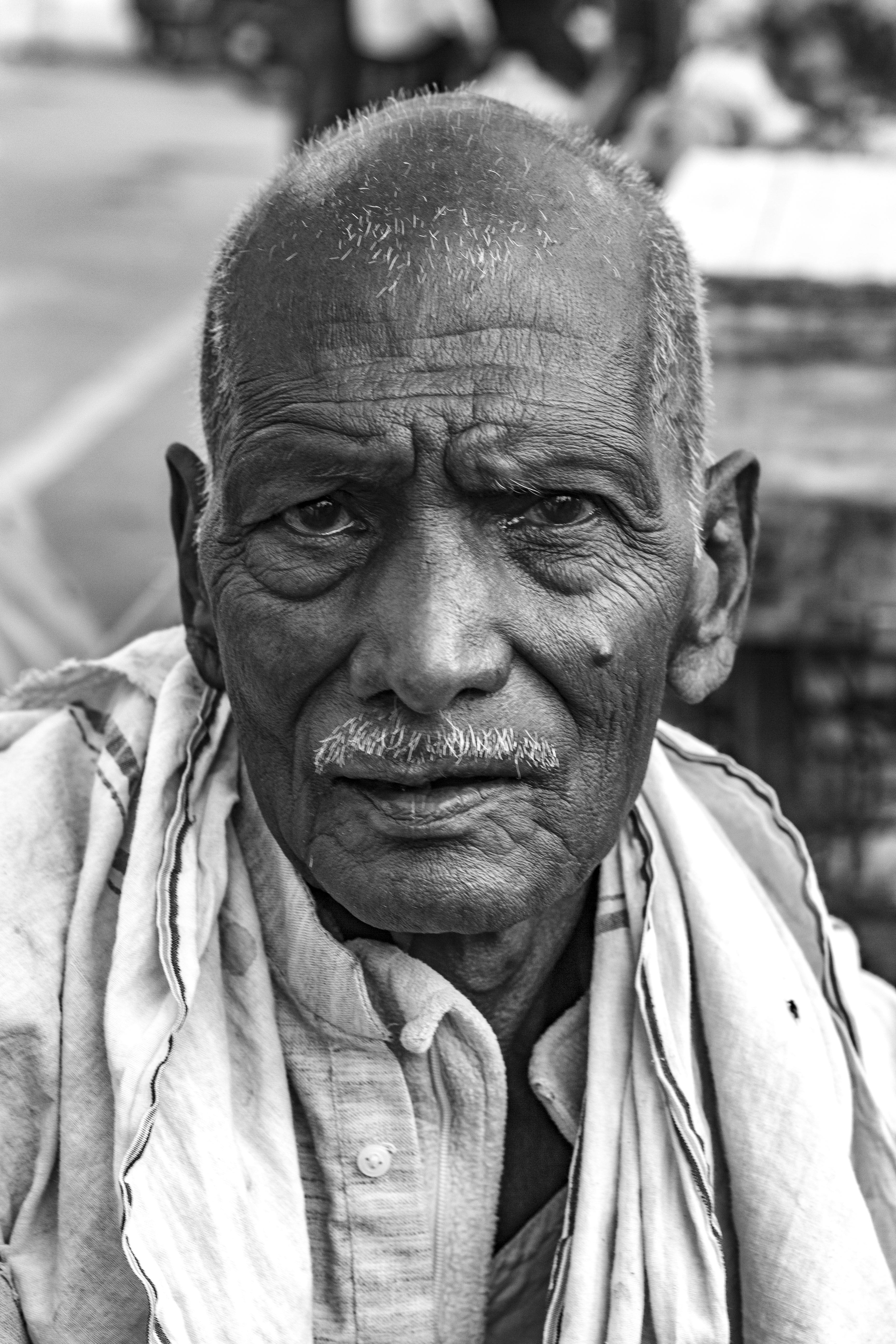 Wisdom in Stillness: A Portrait of Resilience