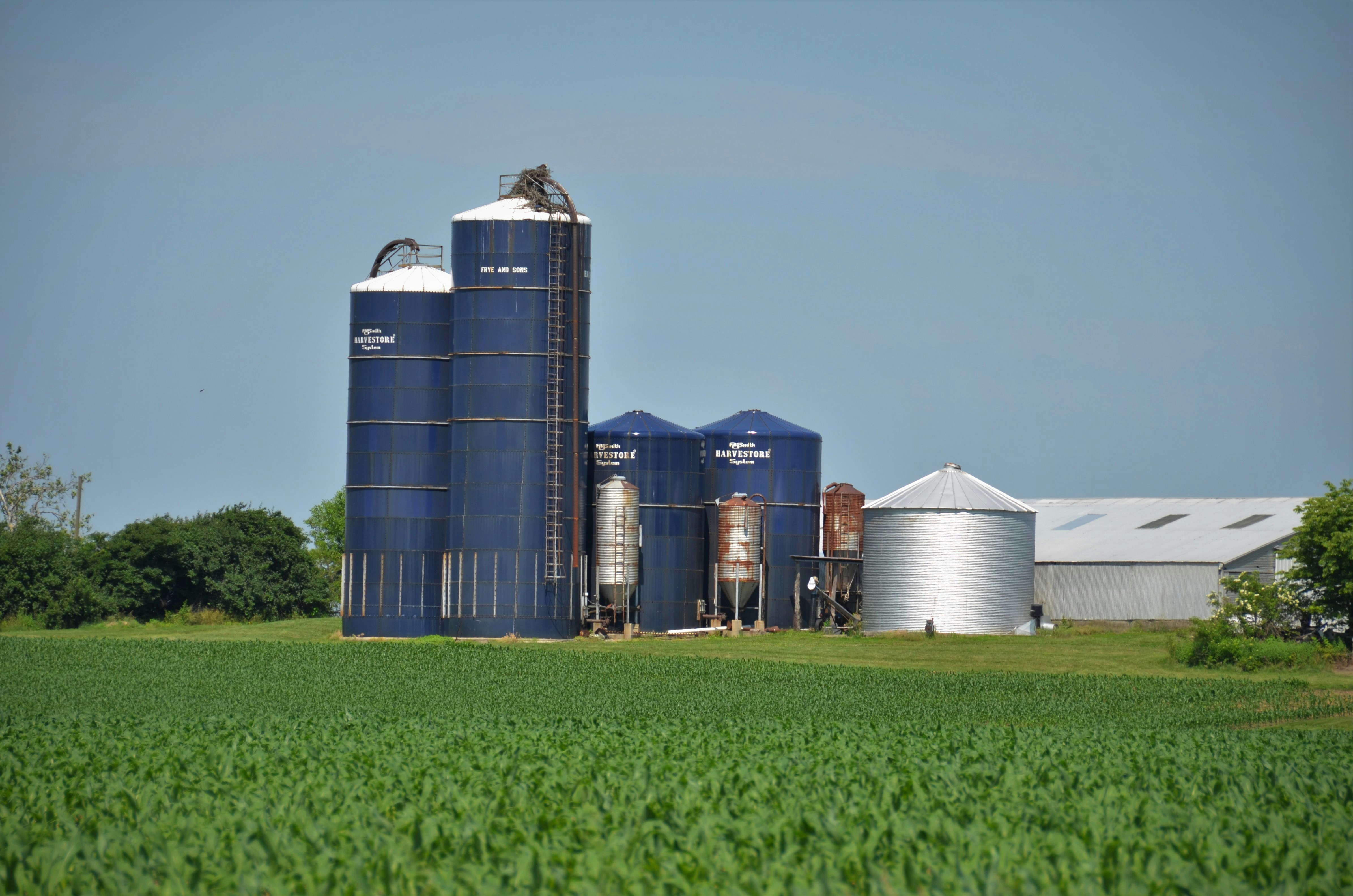 A large blue silo sitting on top of a lush green field photo – Free ...