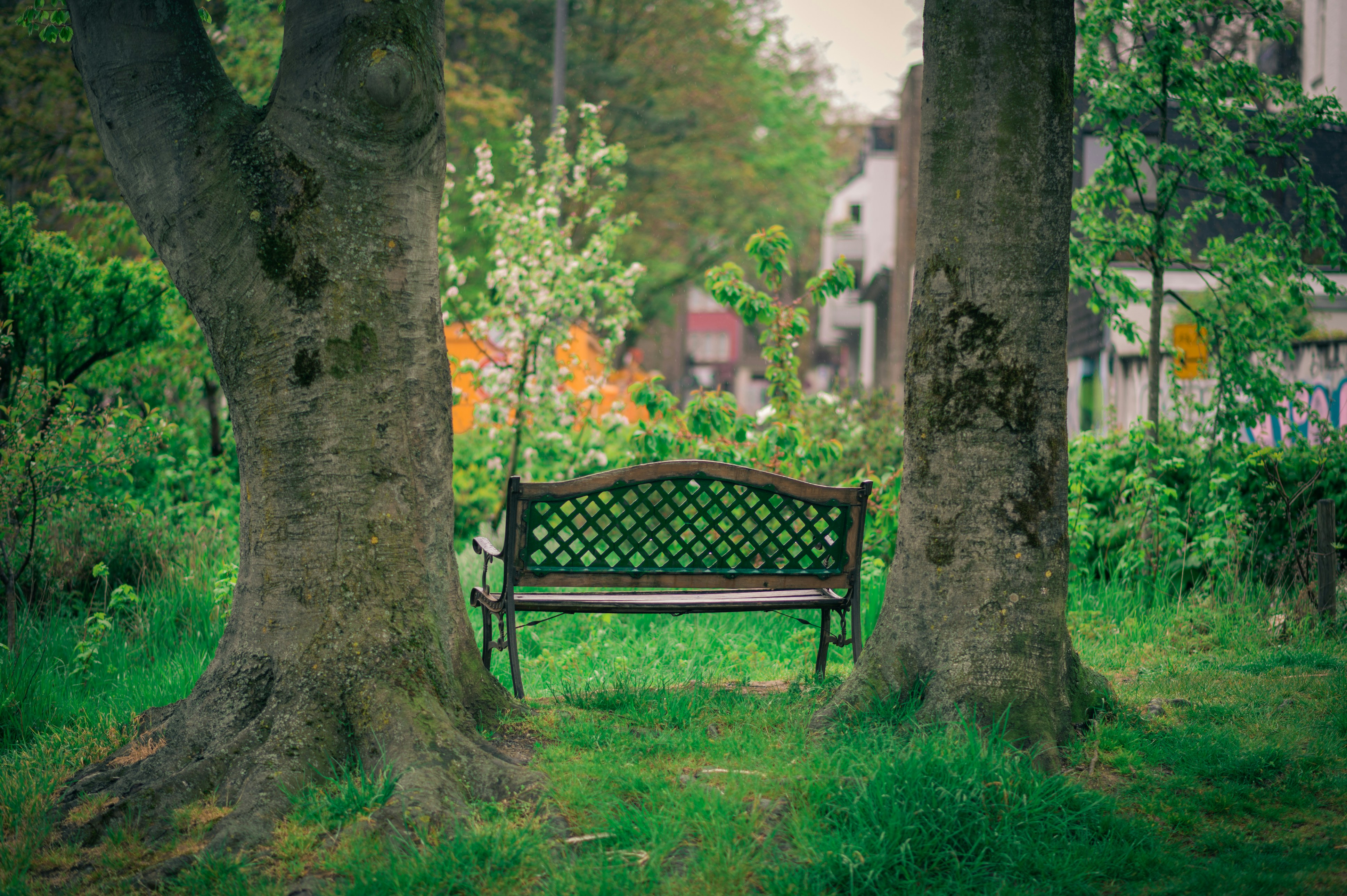 Some nice place to relax  | black metal bench under tree