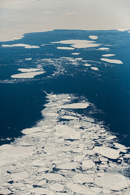 Melting ice caps and pollution in the environment are two of the many ...