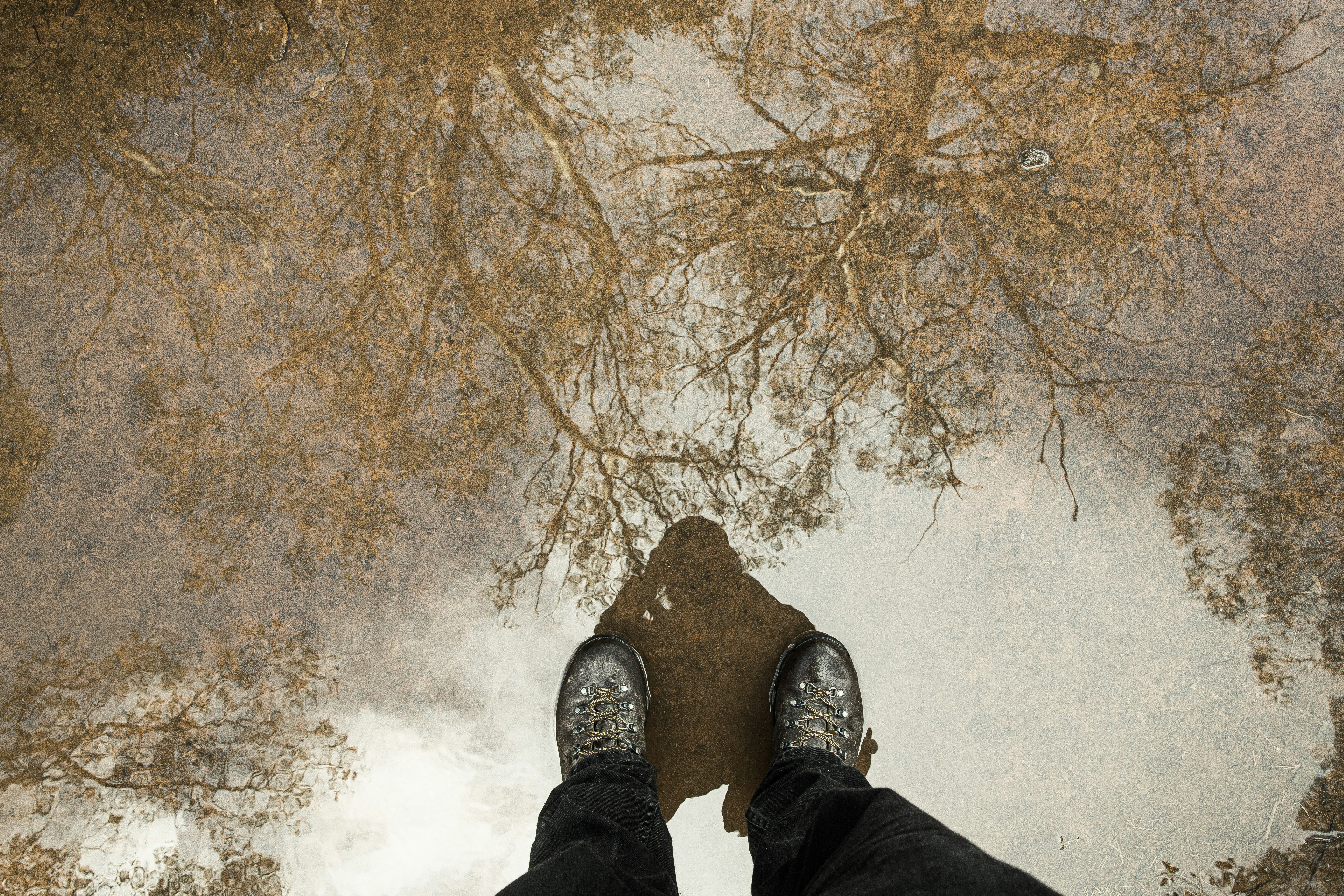 Boots at the Forest-Reflection Pool: A Walk Over the Canopy’s Mirror