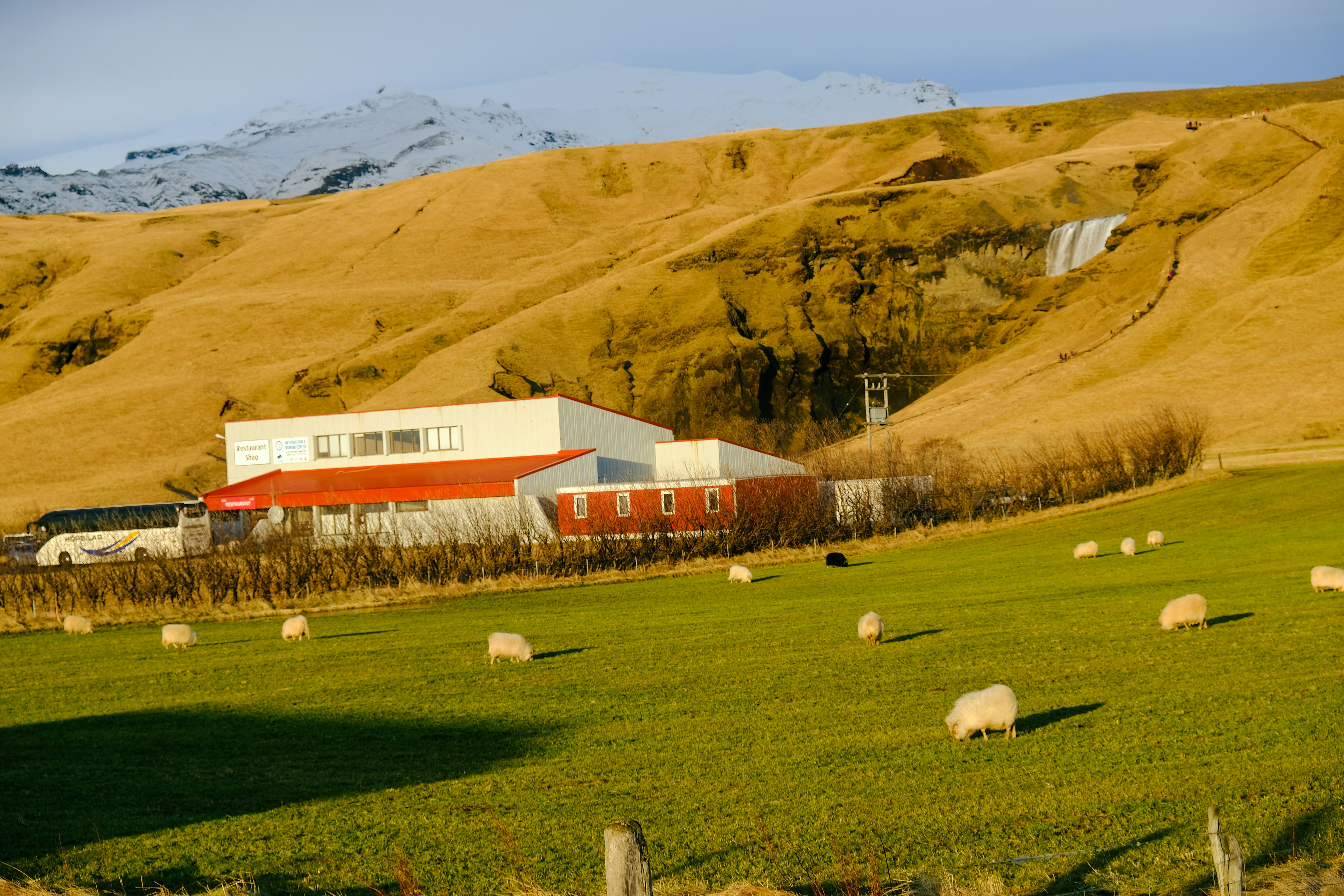 Golden Pasture, Red Barn, and Snow-kissed Ridge