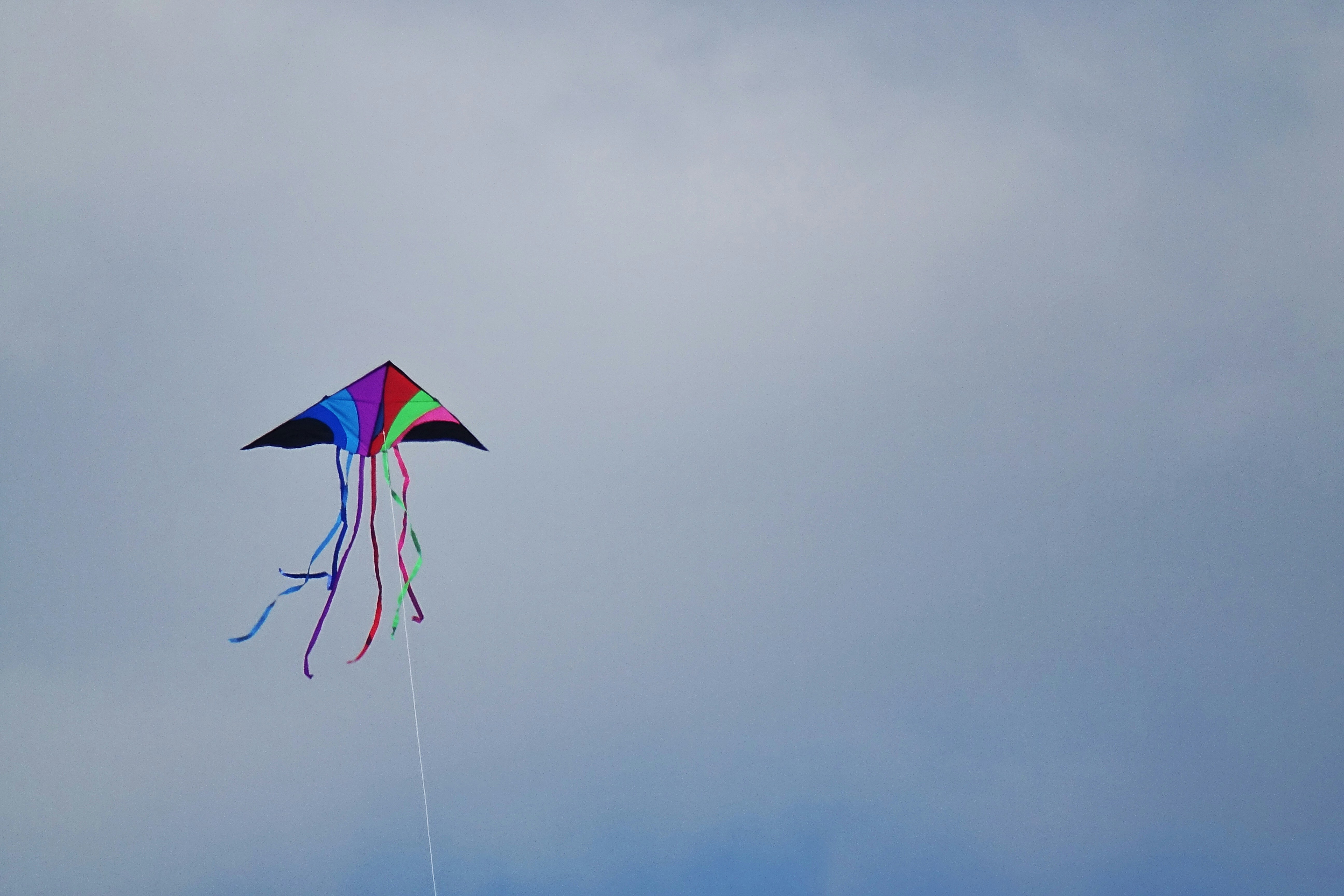 A day at the seaside watching a kite in the sky.  