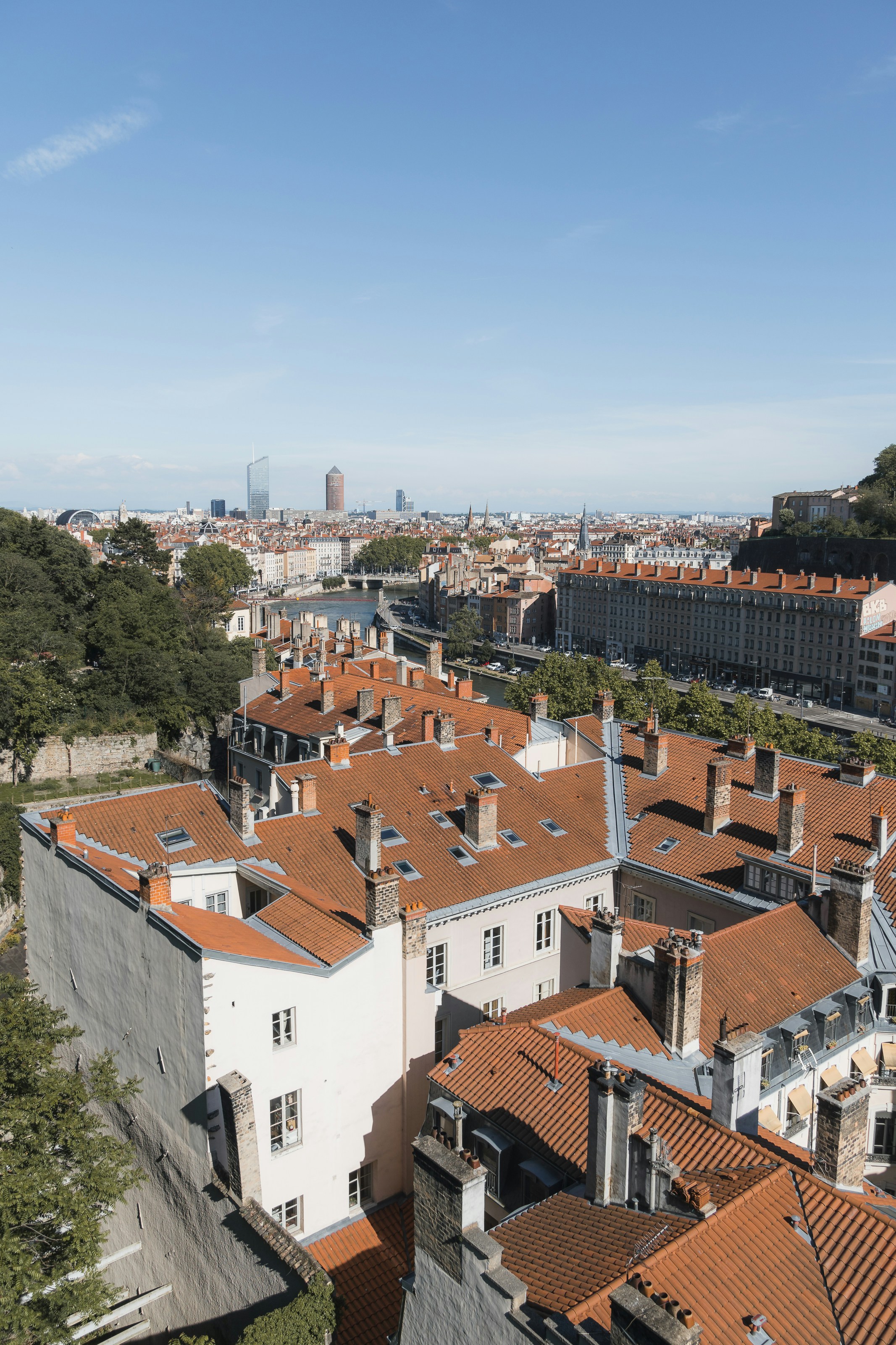 view on lyon city and saone river | white and brown concrete houses during daytime