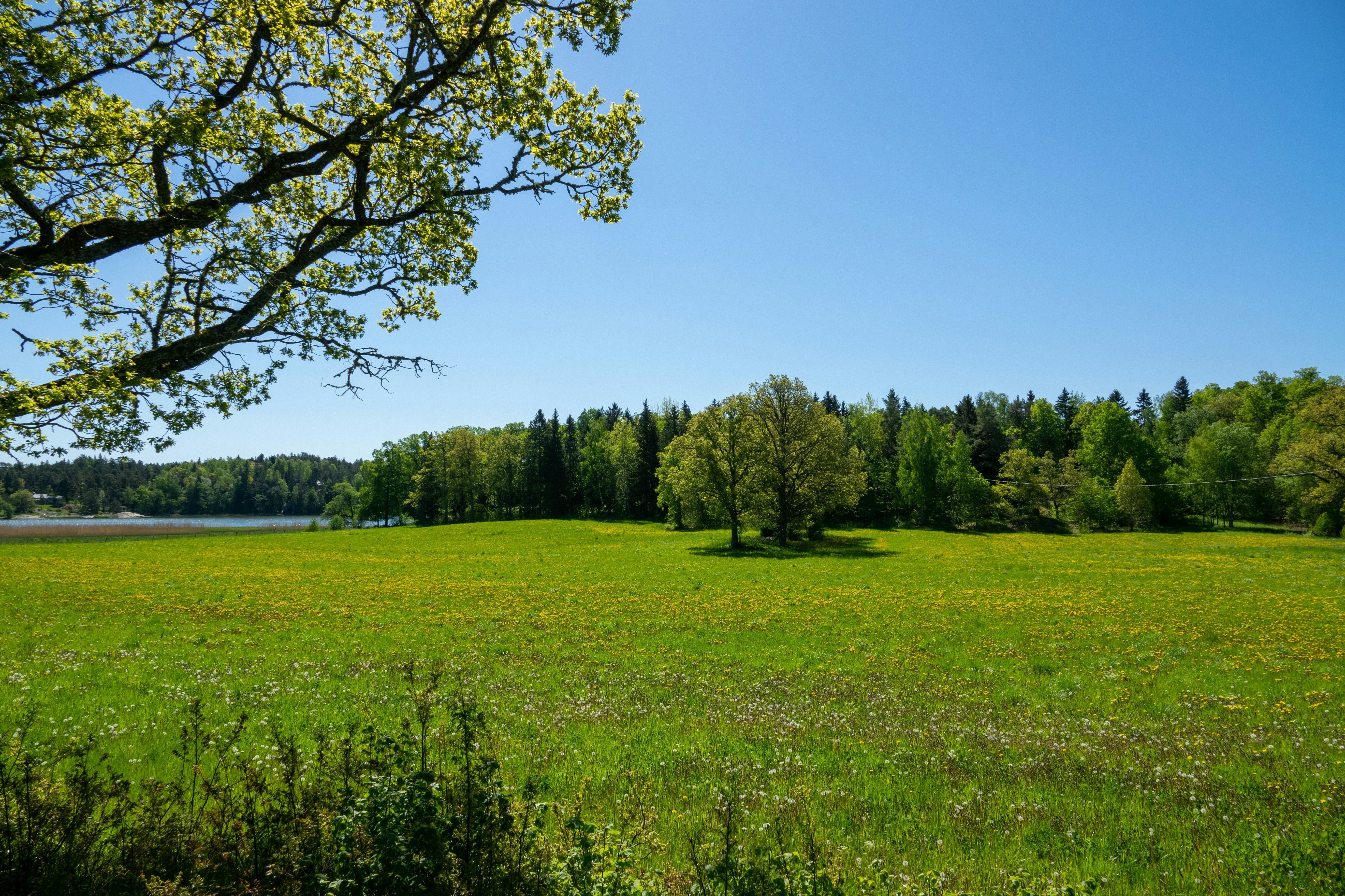 Photo by Jukka Huhtala with Sony RX10 III