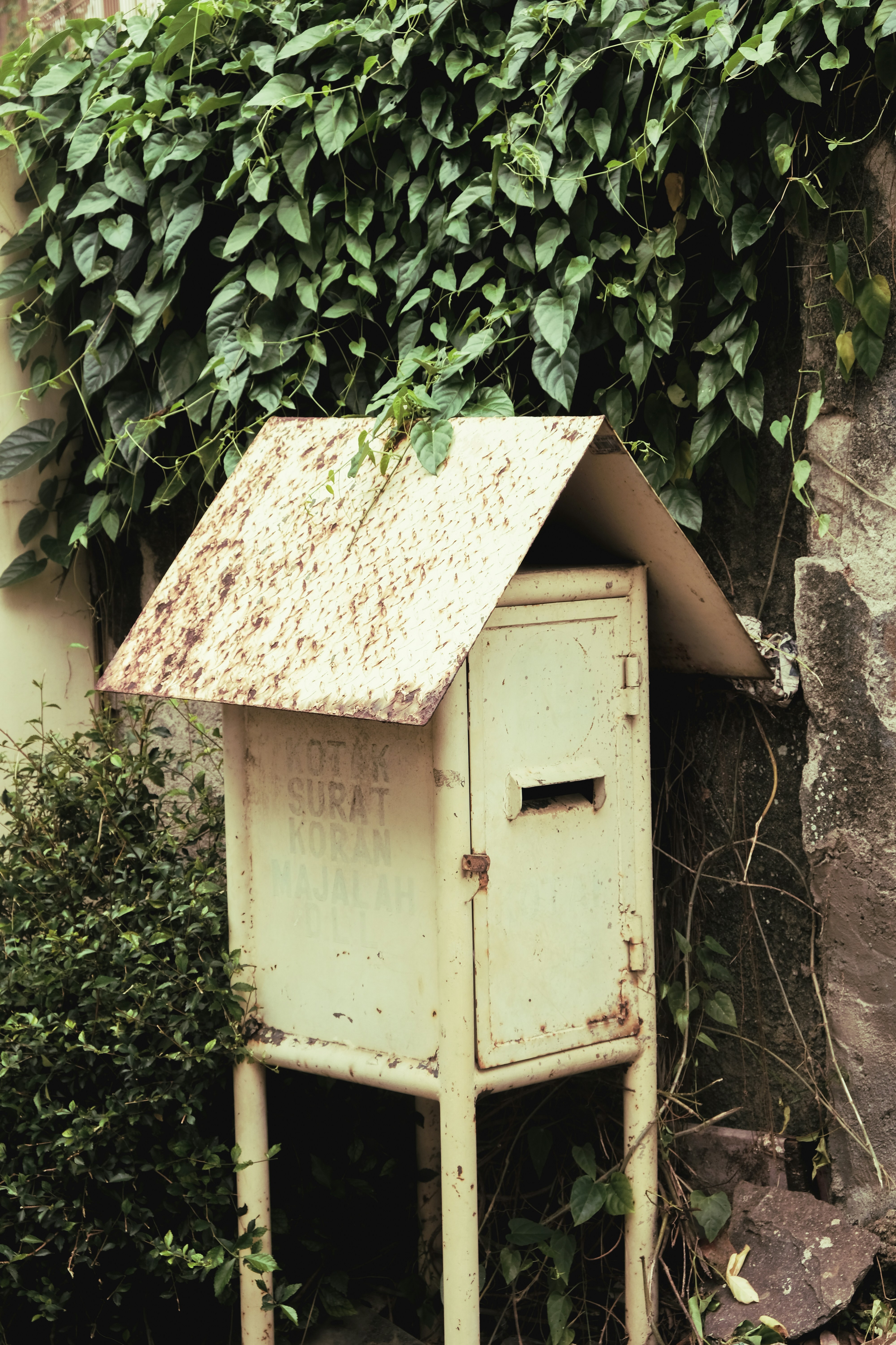 white wooden birdhouse near green leaf plant