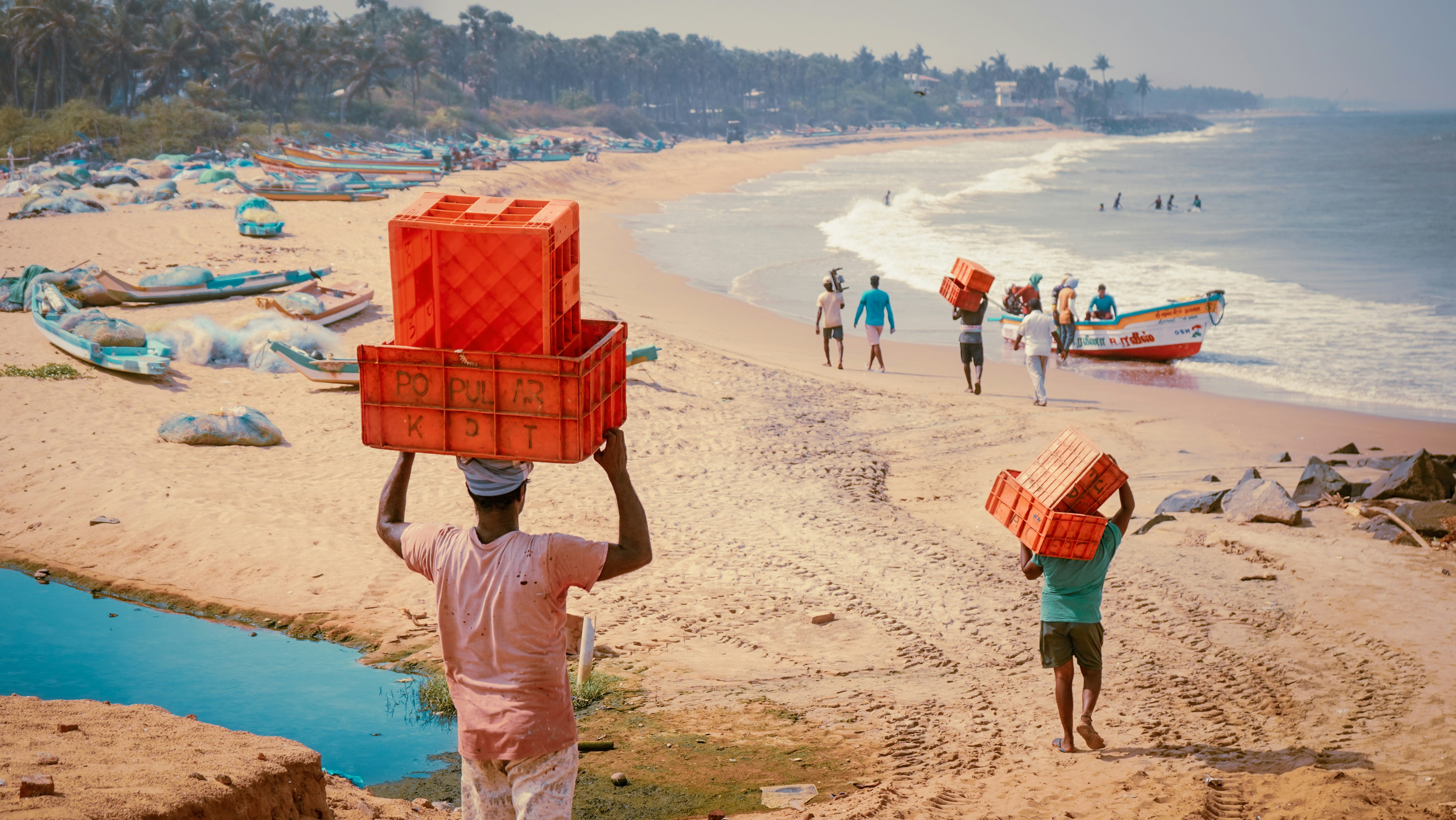 people on beach during daytime