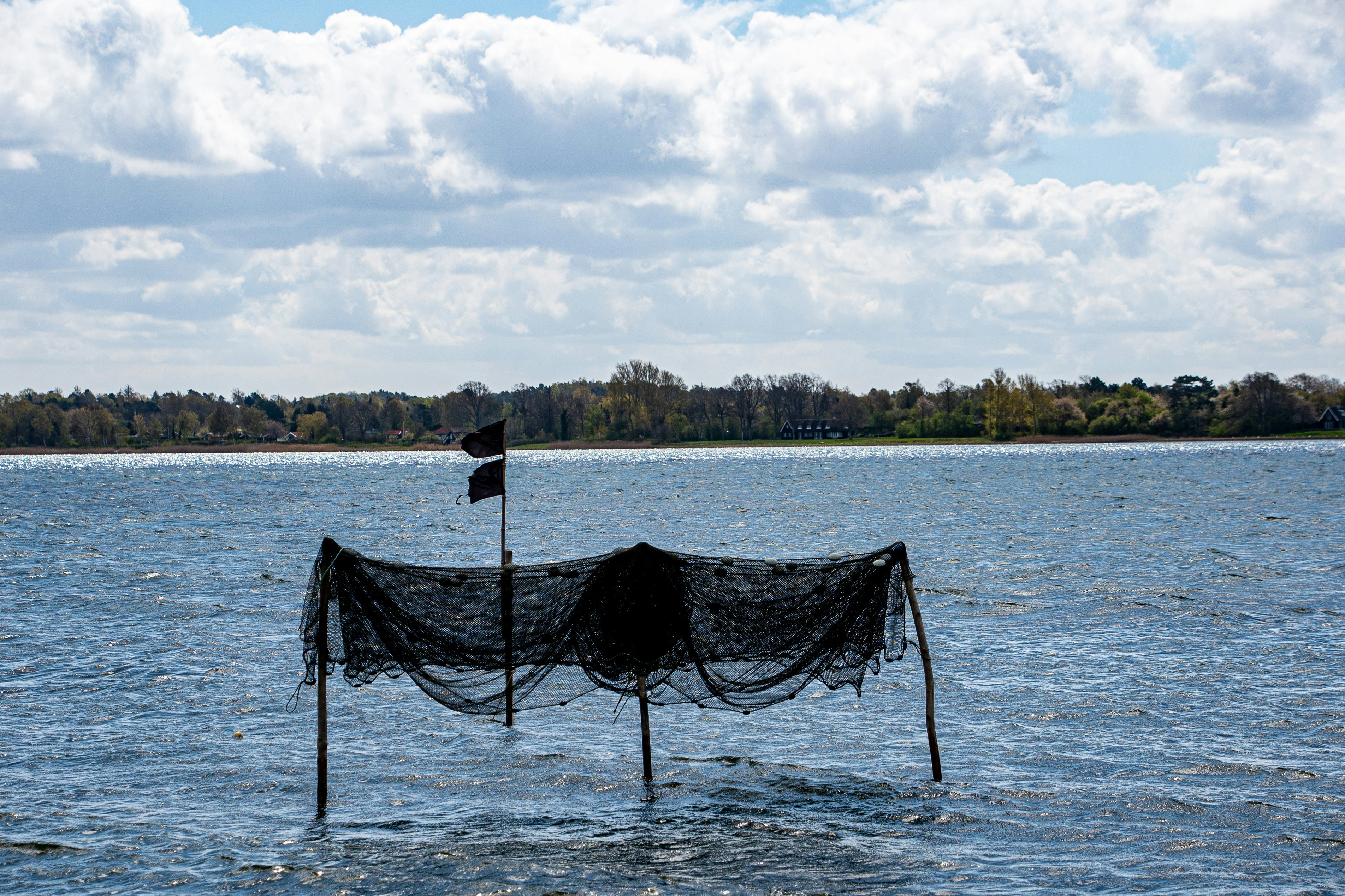 Netted silhouette rising from the lake, anchored by a weathered dock line