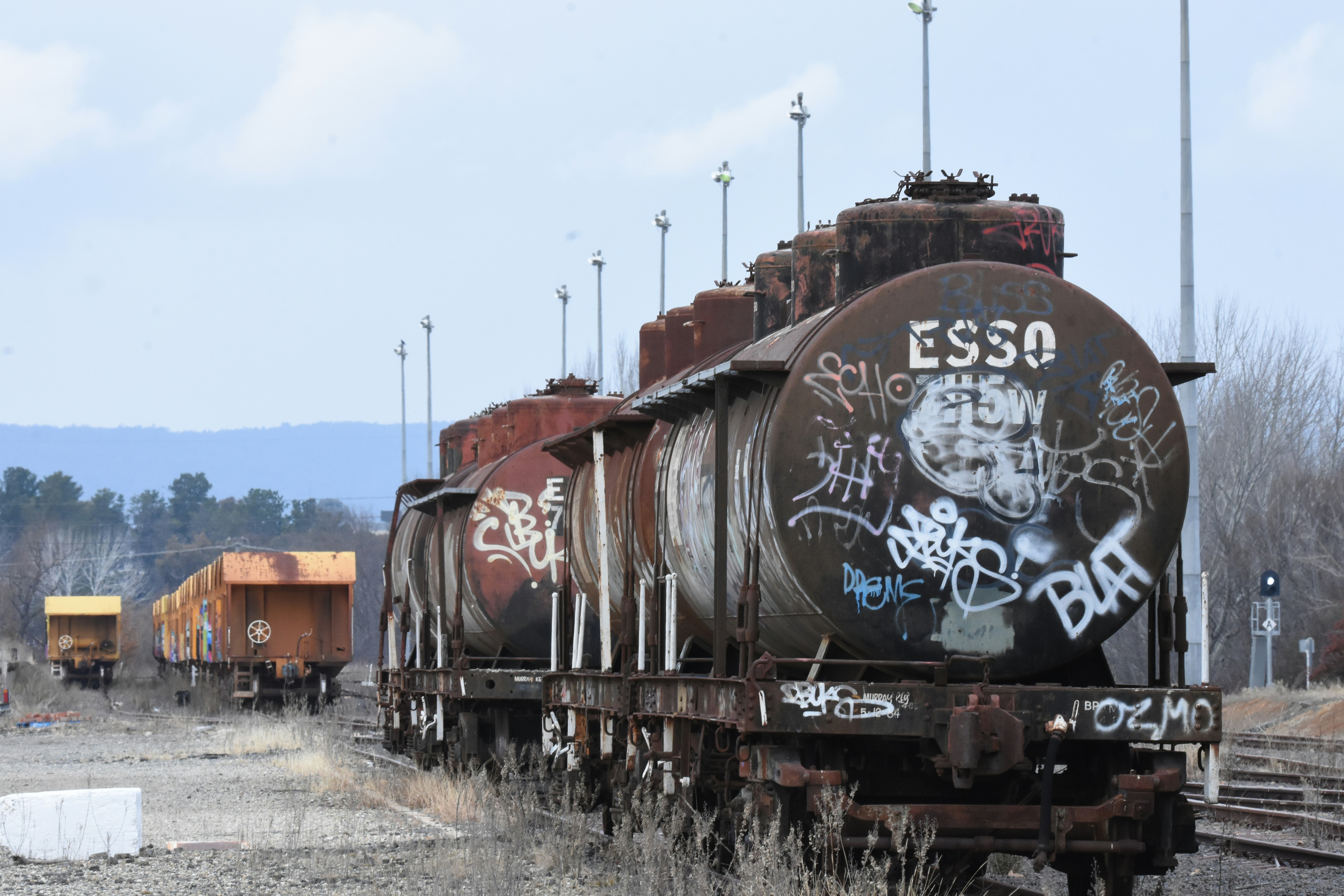 black and brown train on rail tracks during daytime