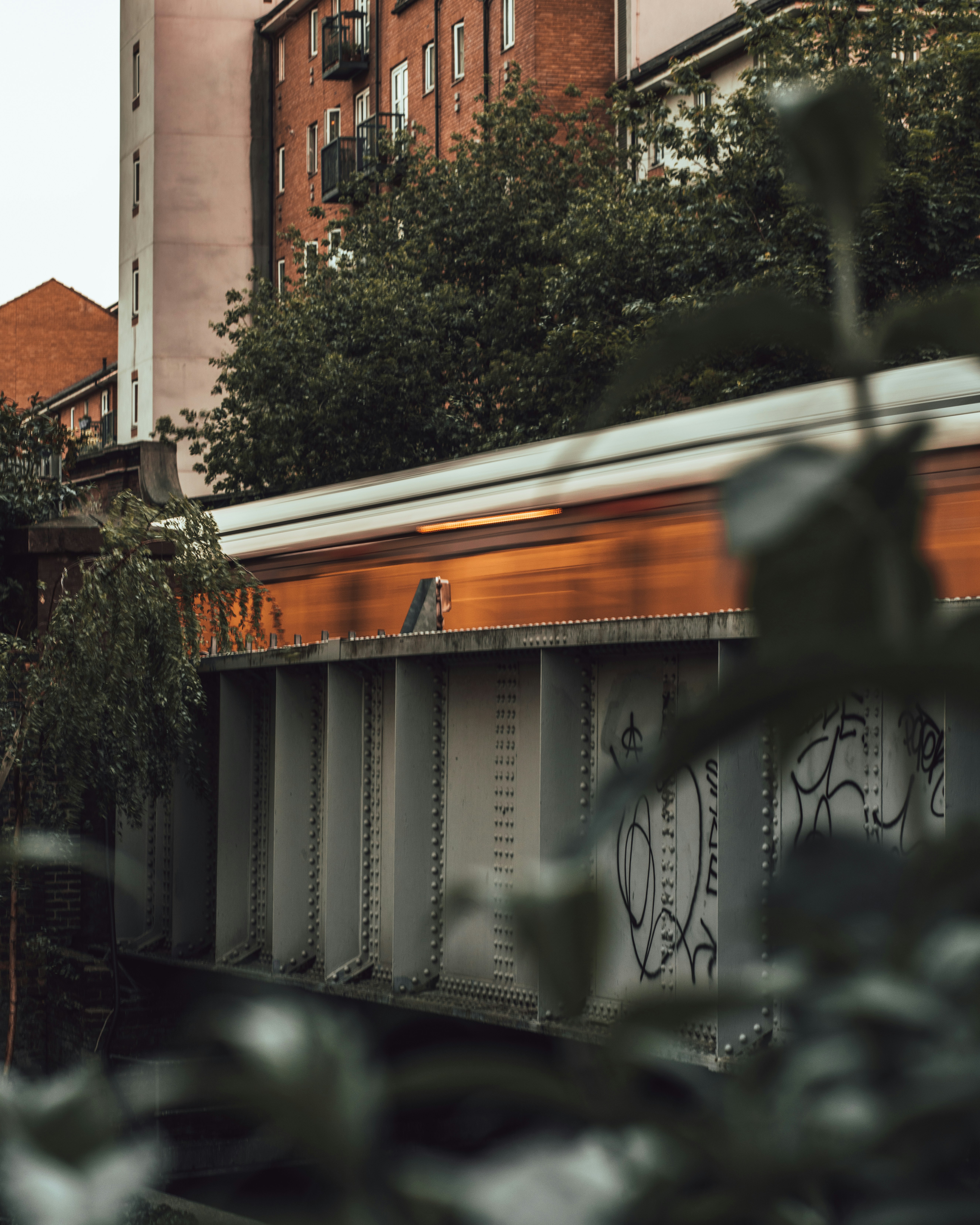 A train speeds past a lush urban landscape, partially obscured by foliage and graffiti on the bridge. The scene captures the contrast between nature and city life.