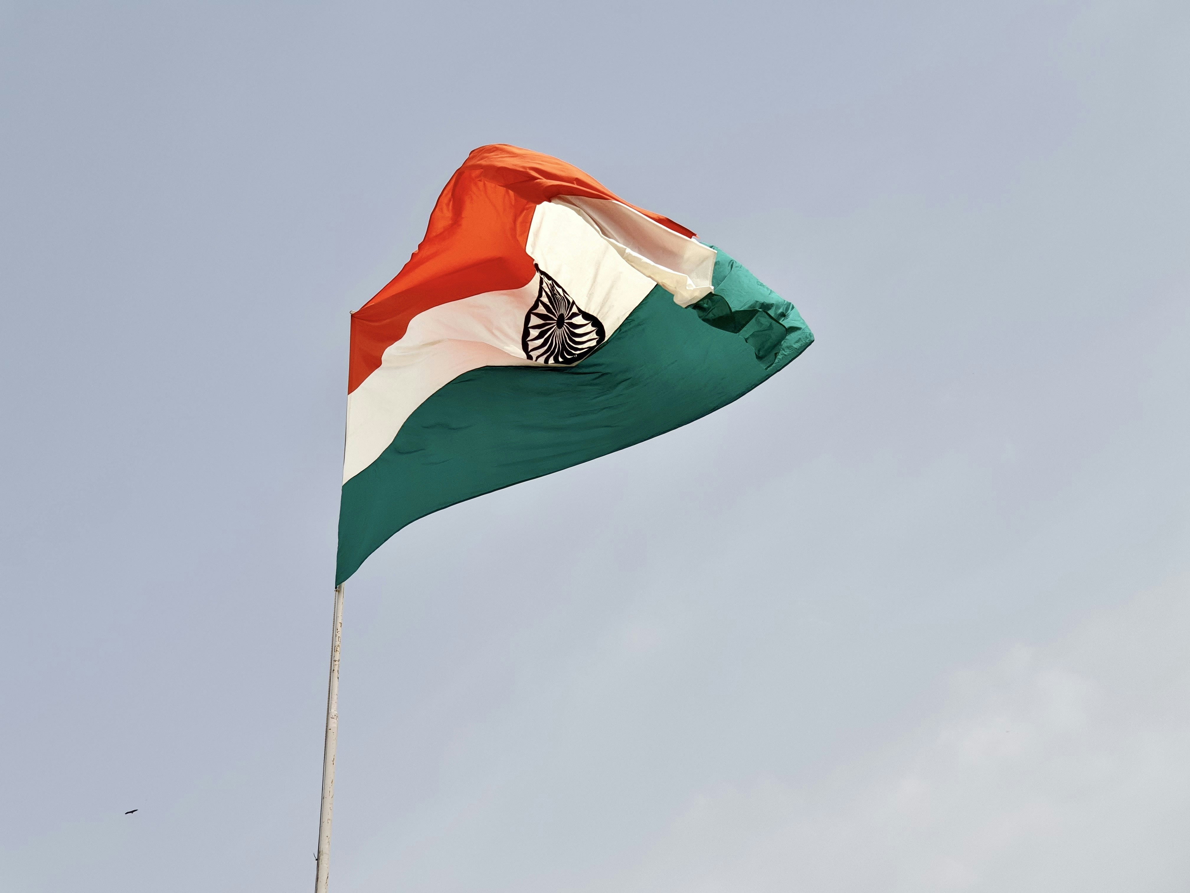 Drapeau rouge, blanc et vert photo – Photo Drapeau Gratuite sur Unsplash
