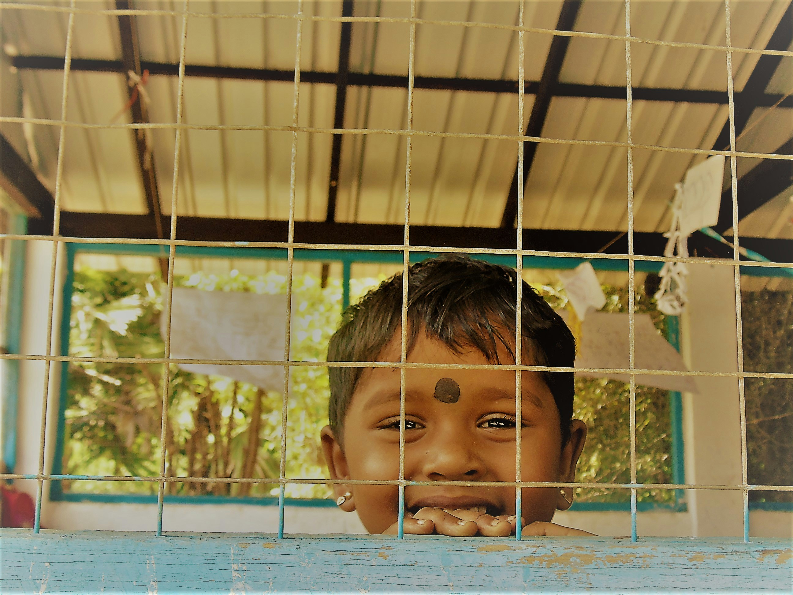 Peering Through the Mesh: A Curious Portrait