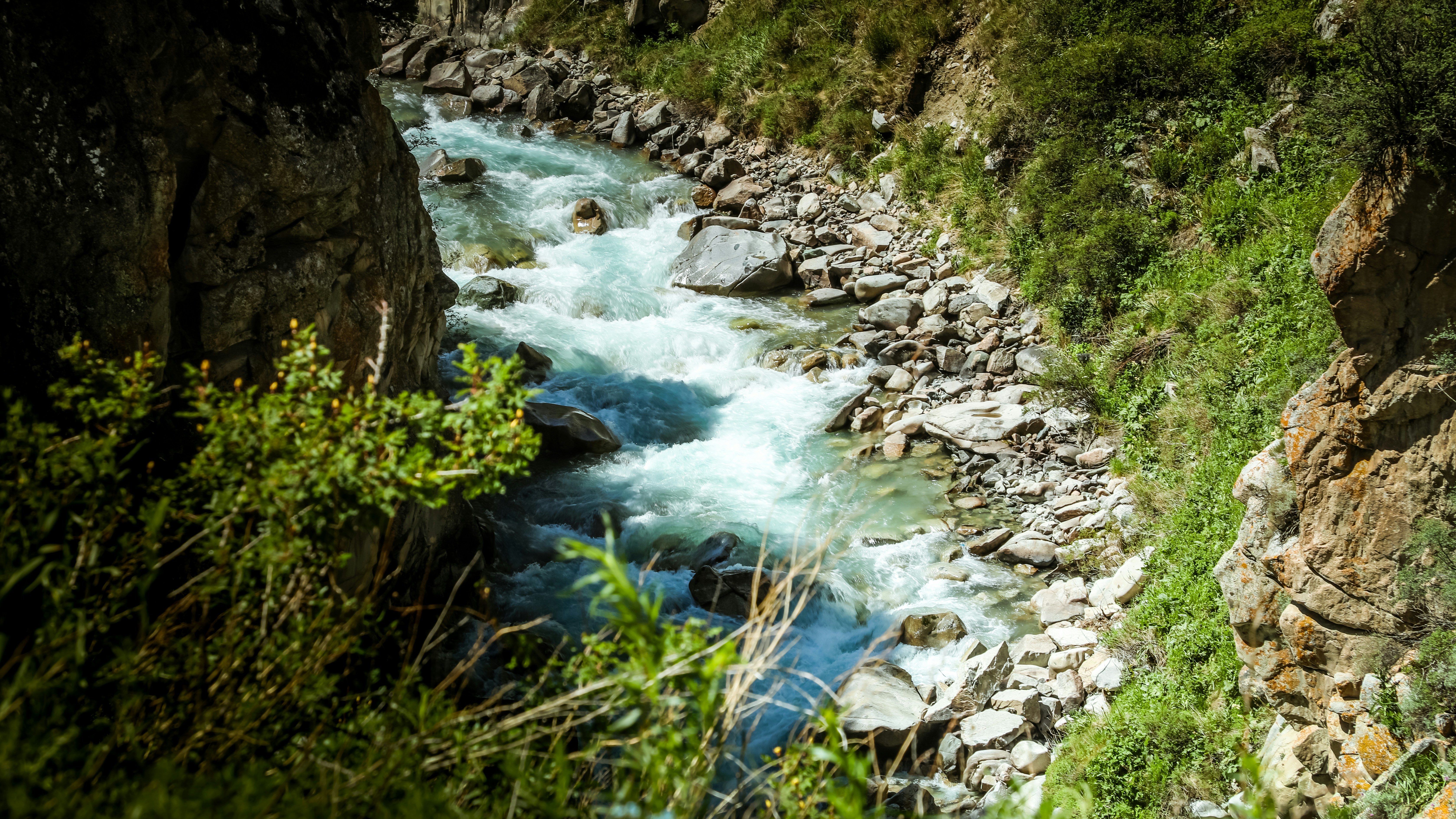 Río en medio de la hierba verde y los árboles foto – Imagen de Imágenes ...