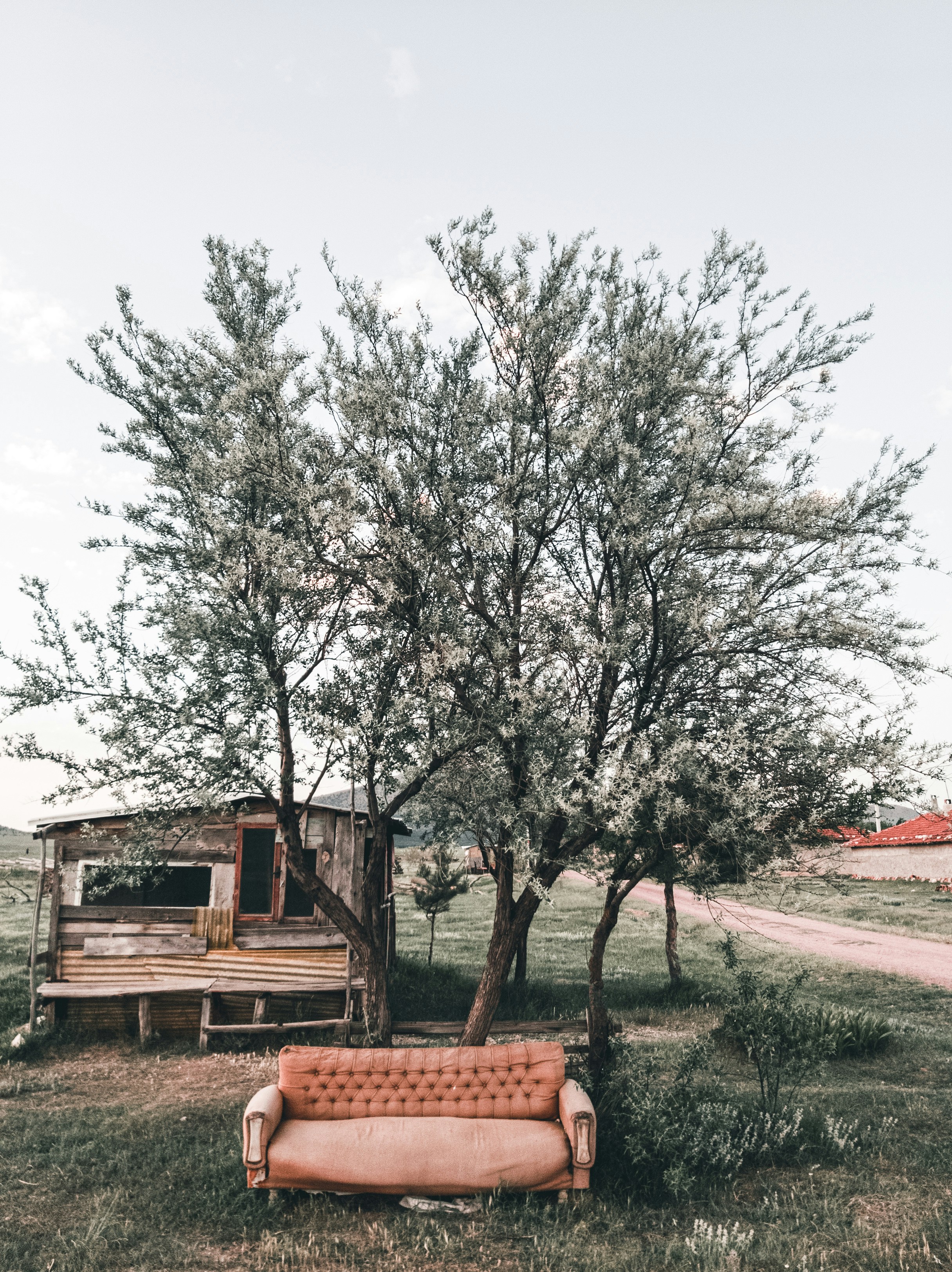 A vintage couch sits under a sprawling tree next to a weathered wooden cabin, blending rustic charm with natural beauty.