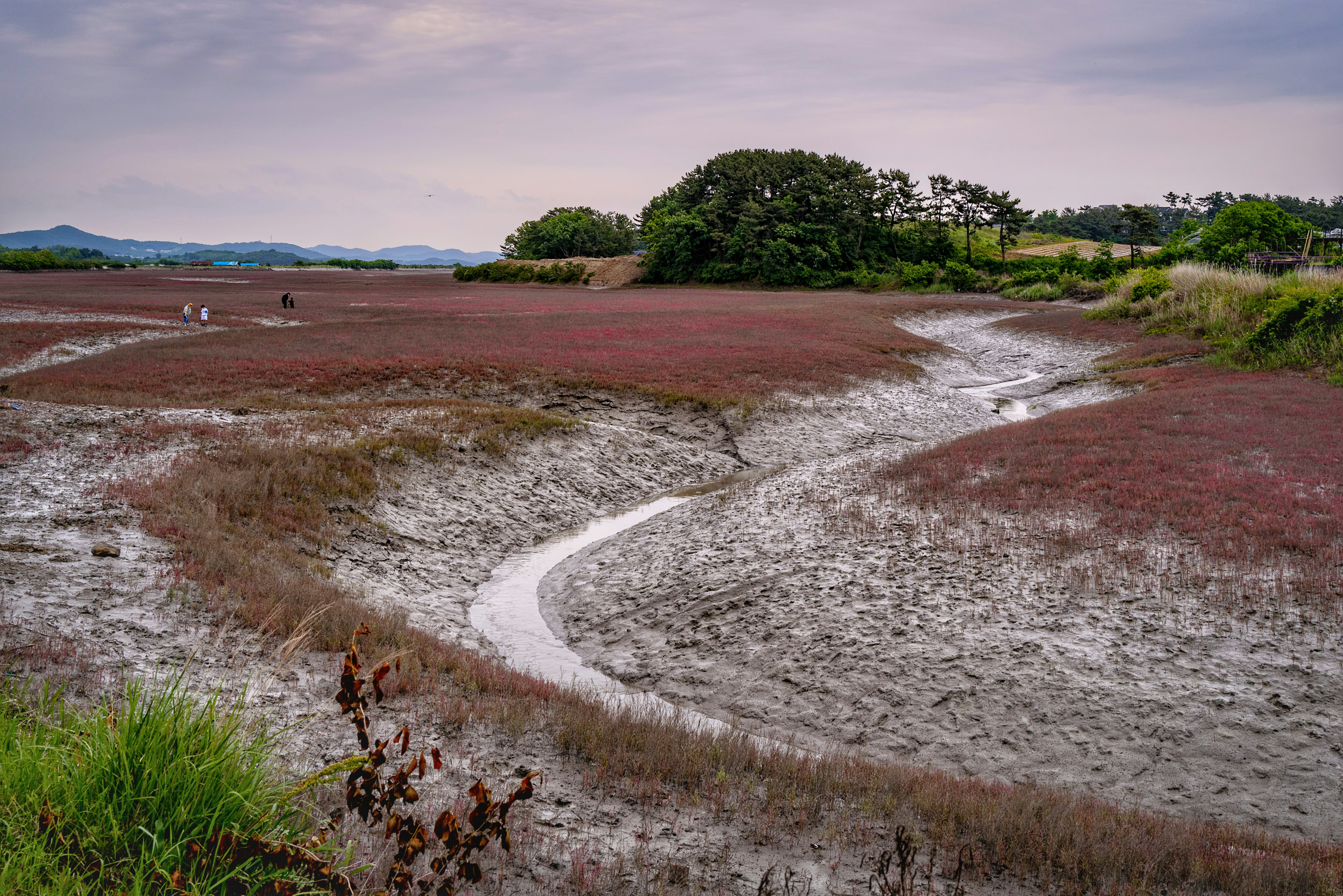 White Ribbon Across Crimson Flats: A Dryland River Scene
