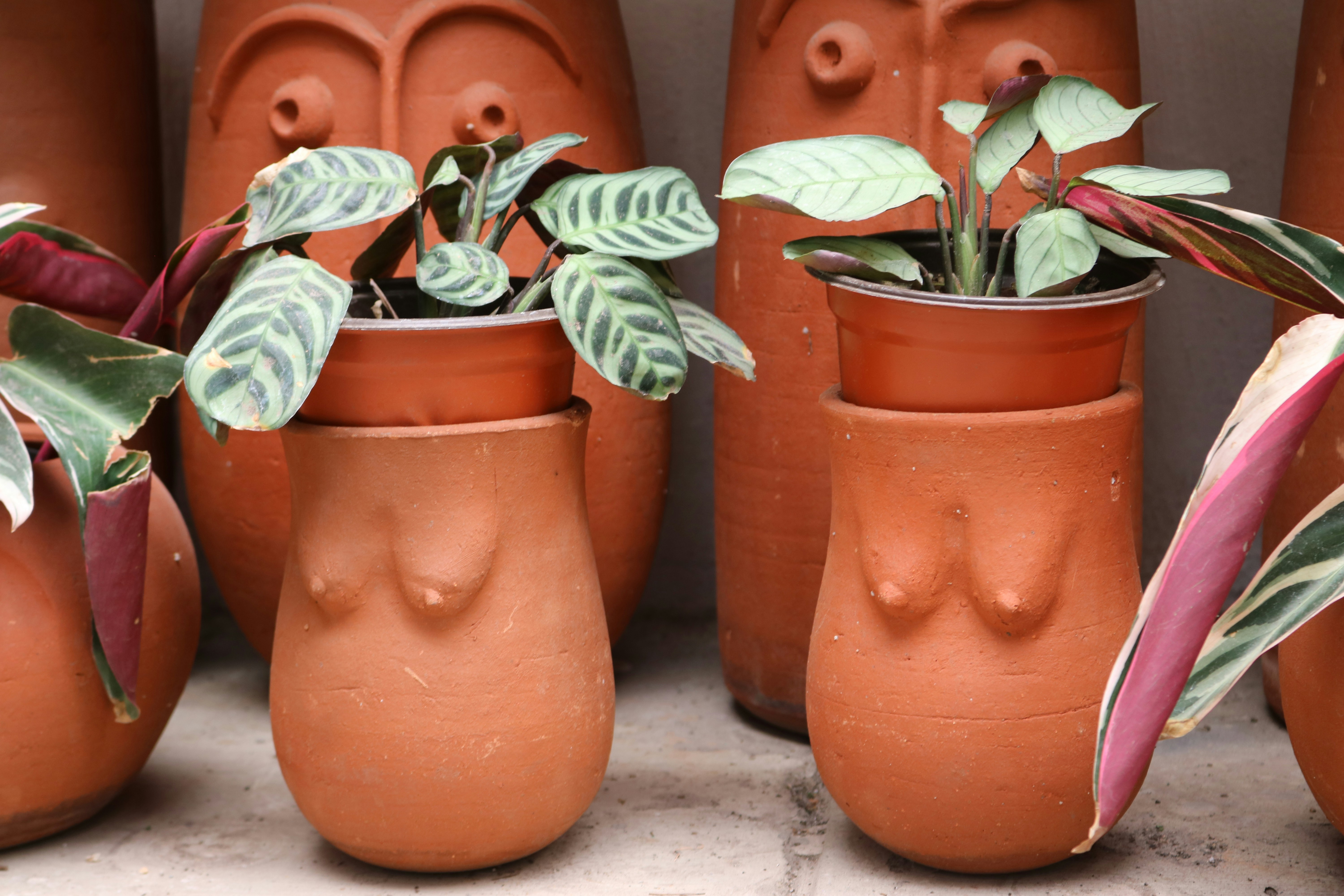 Terracotta planters shaped like faces, adorned with vibrant green plants, create a playful atmosphere in a rustic setting.