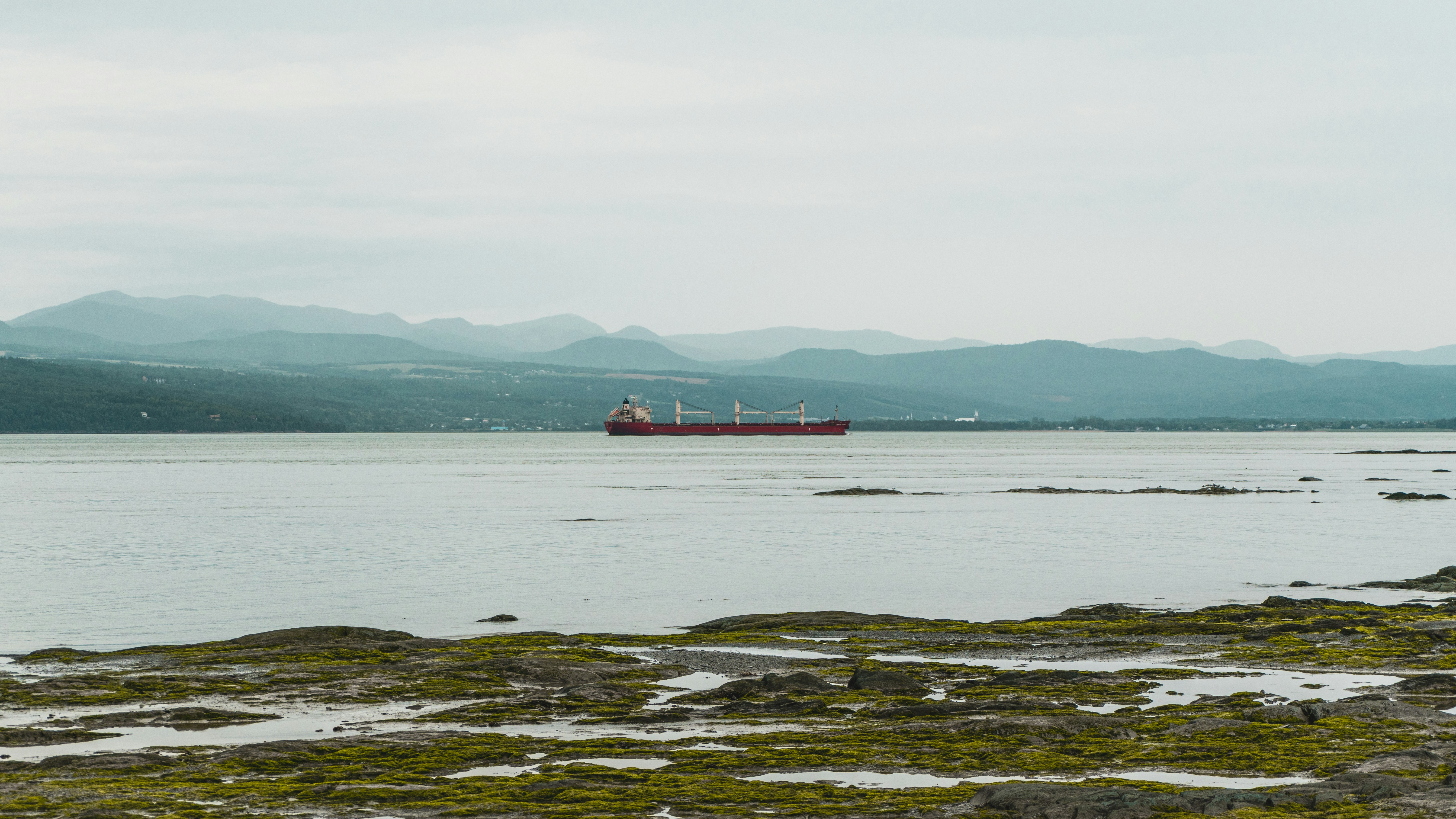 Nicolas Cool (@shotz) | Unsplashフォトコミュニティ