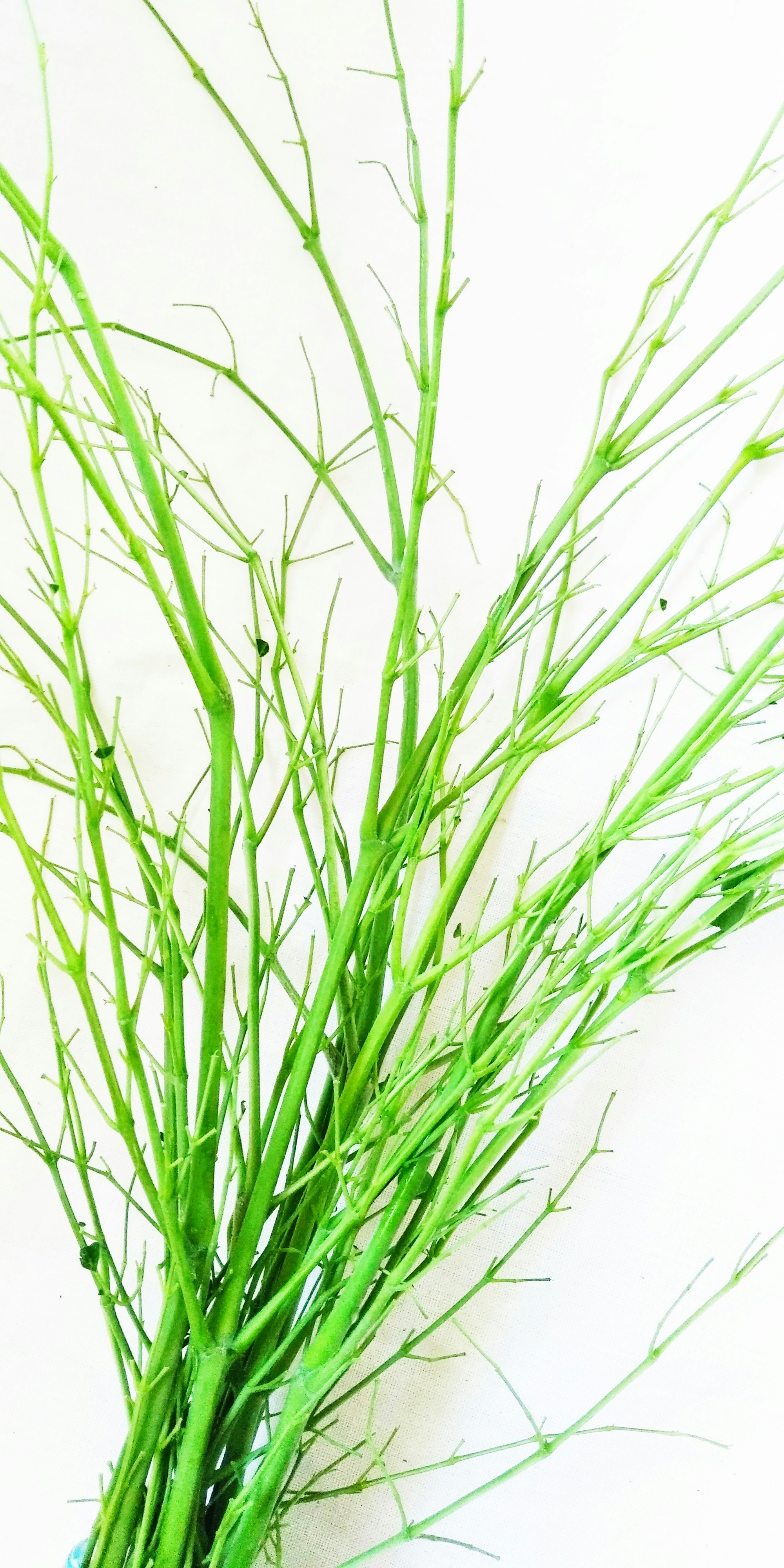 Wu Fu Quan (@wufuquan) | Unsplash 사진 커뮤니티