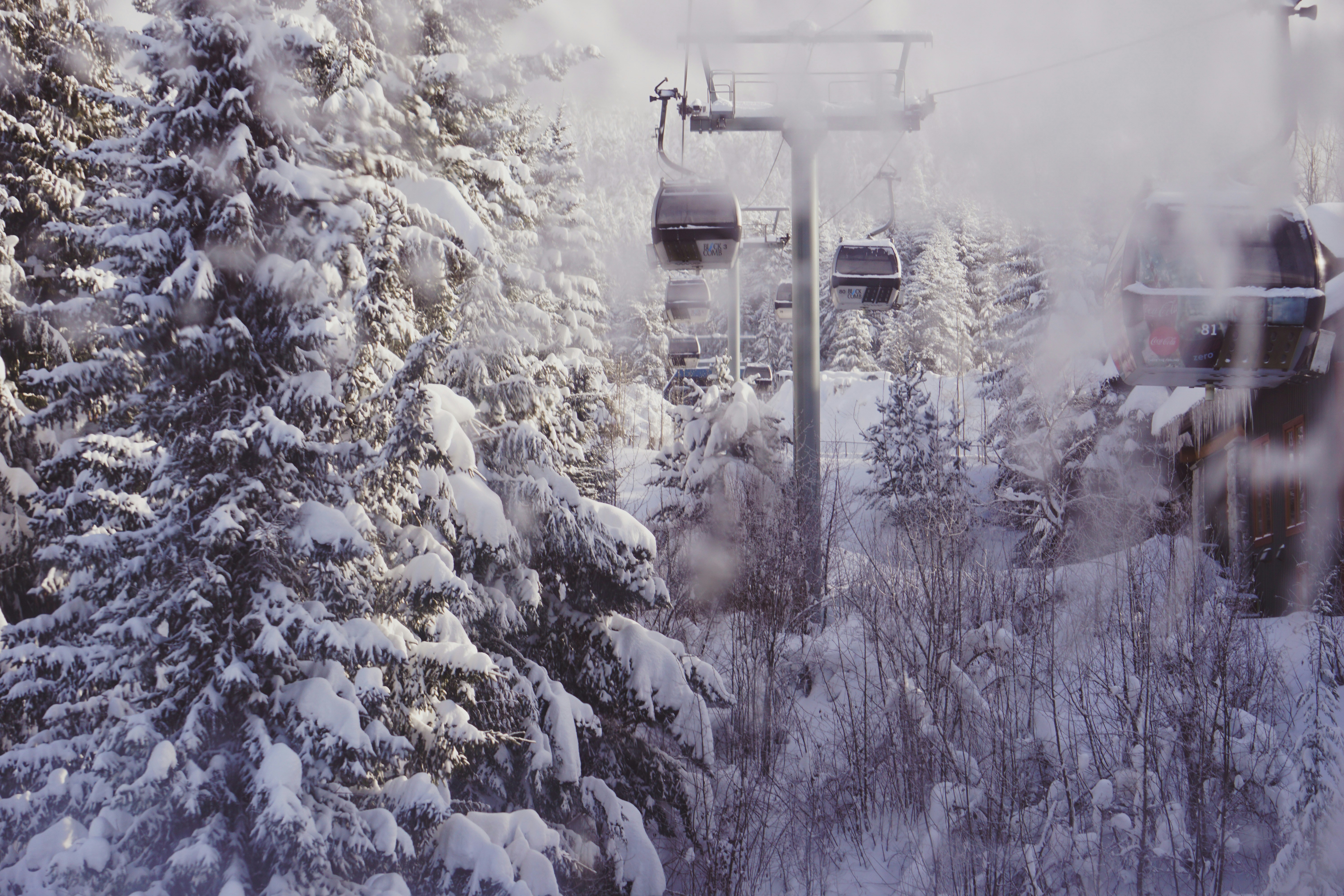 Echoes of Winter: Snow-Laden Ski Lift Among Frosted Pines