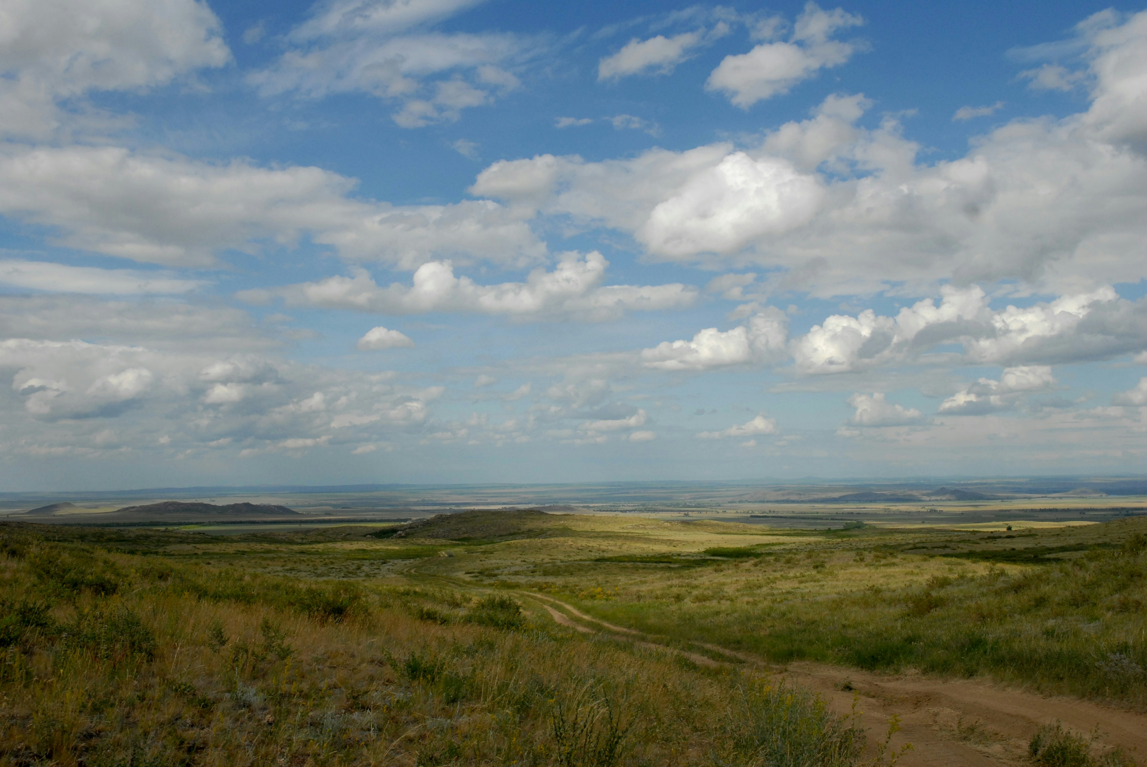 Expansive grassy plains stretch beneath a sky dotted with fluffy clouds.