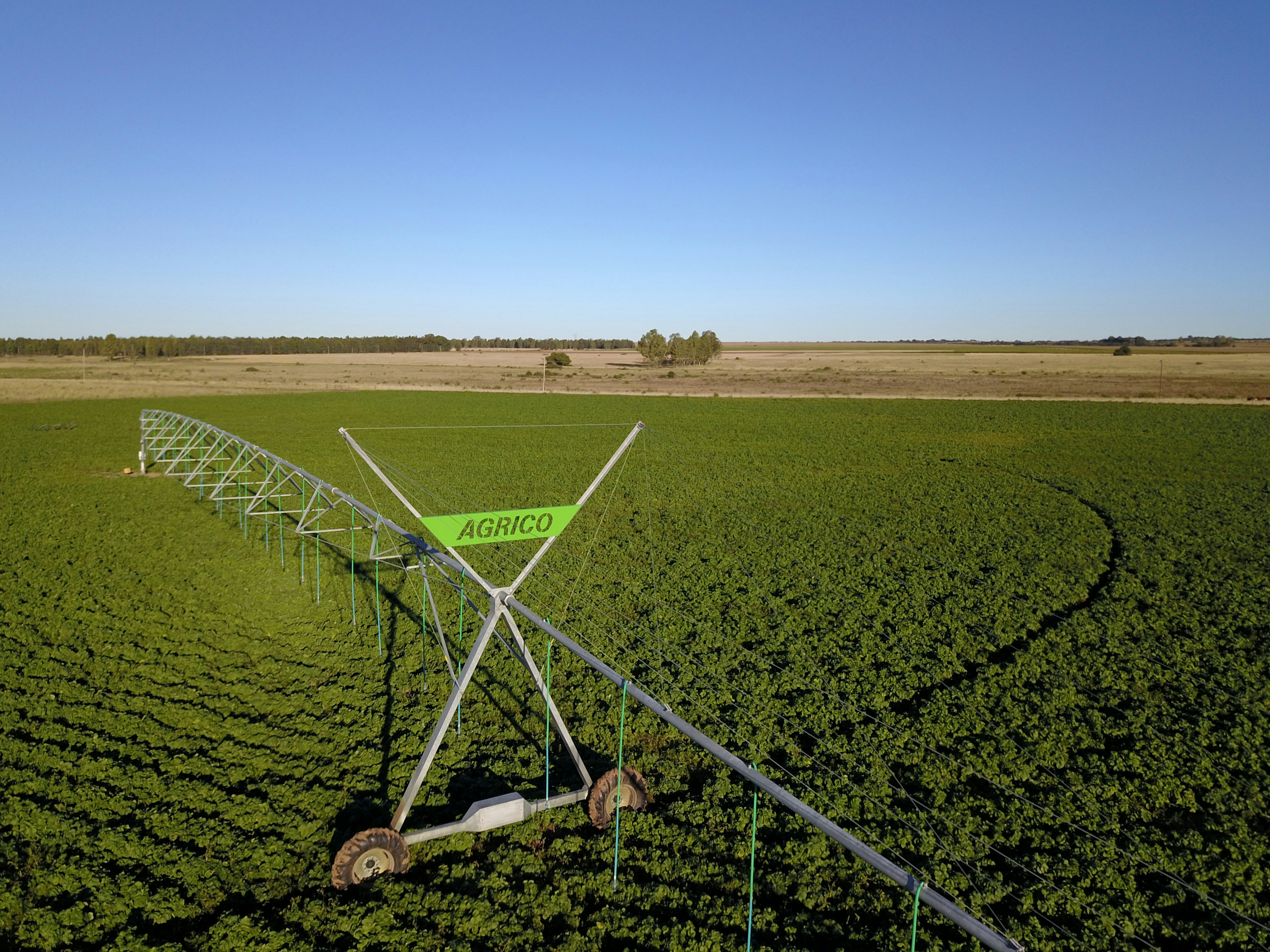 Center Pivot in a Sea of Green