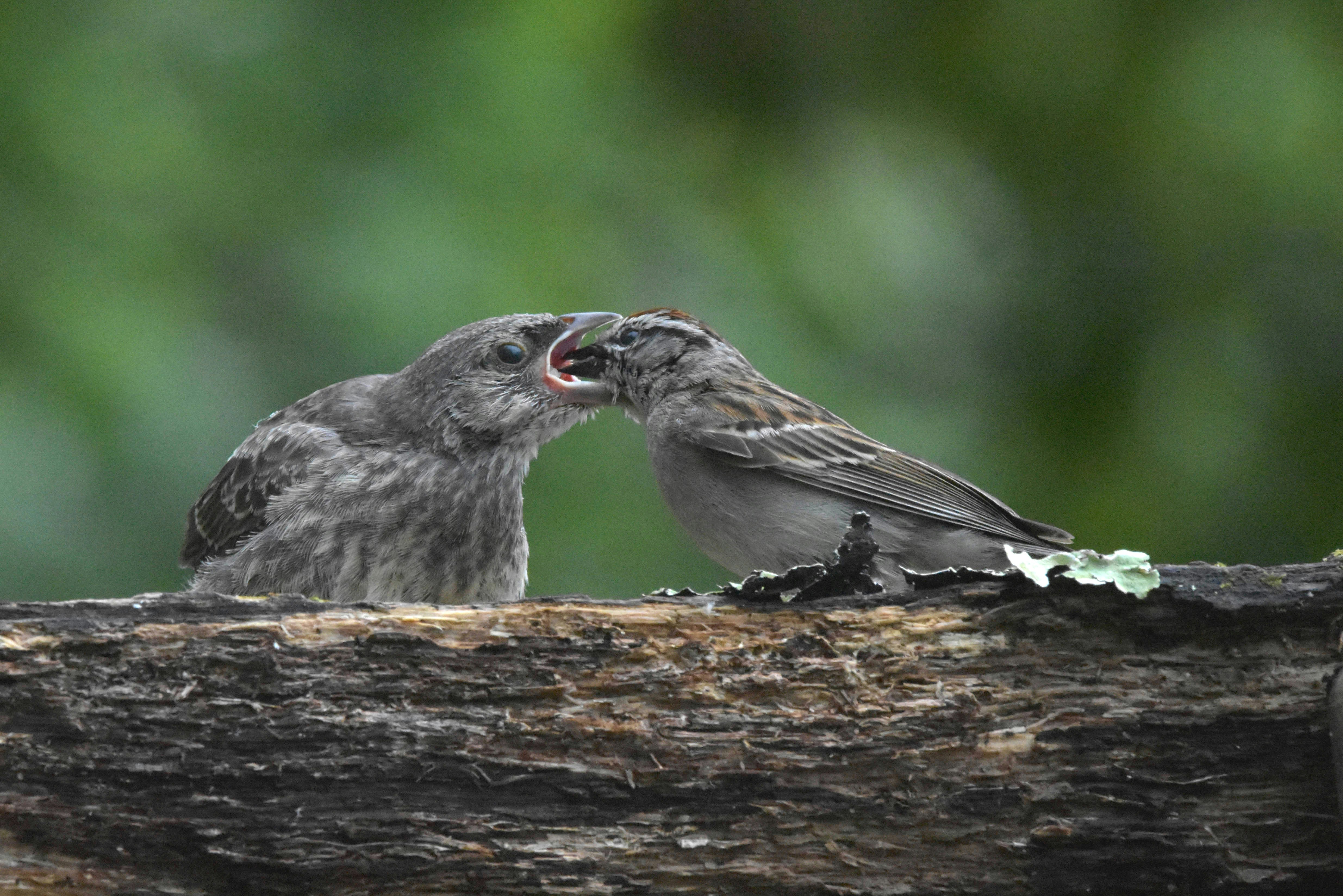 Interpersonal Communication Pictures | Download Free Images on Unsplash