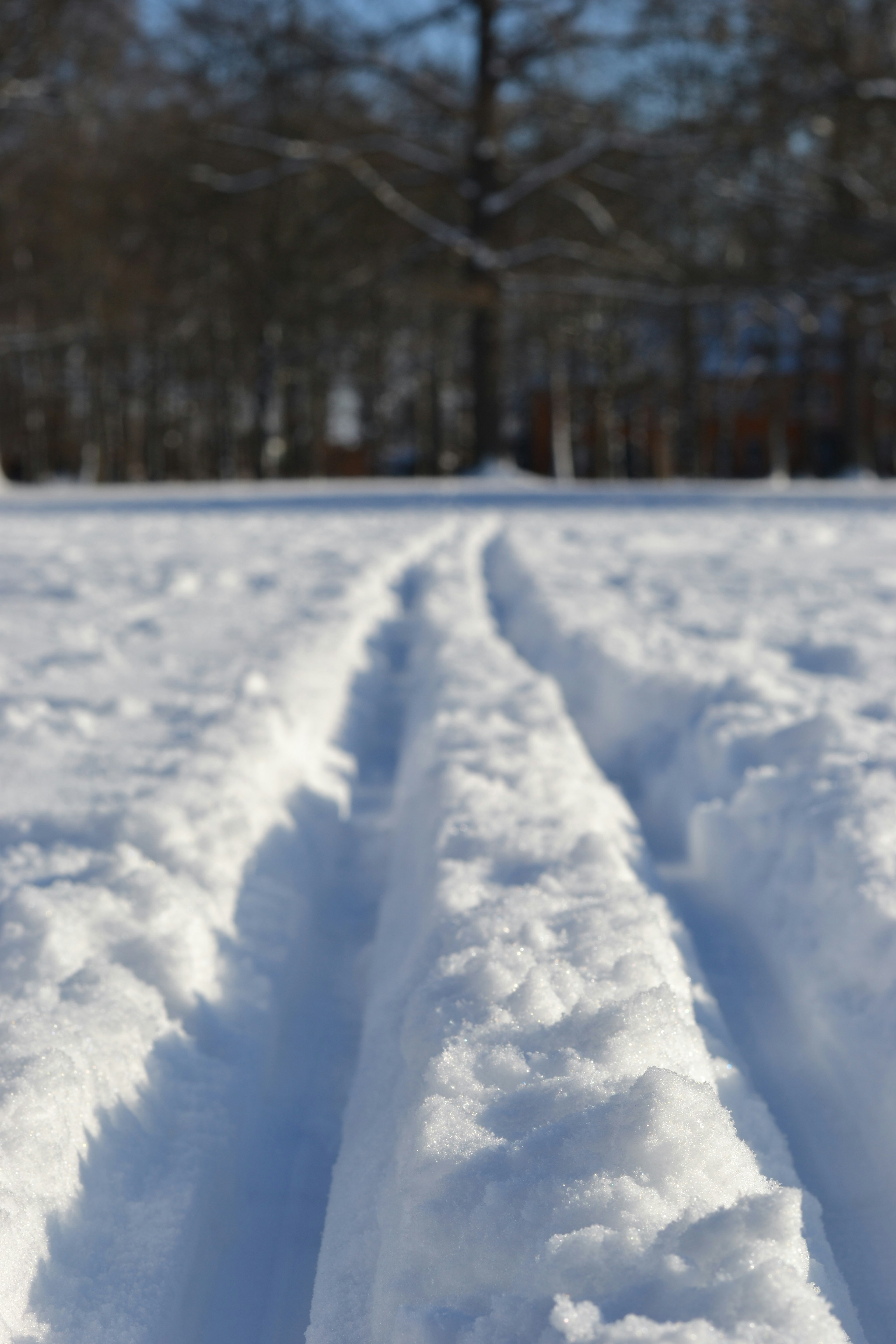 snow covered field during daytime