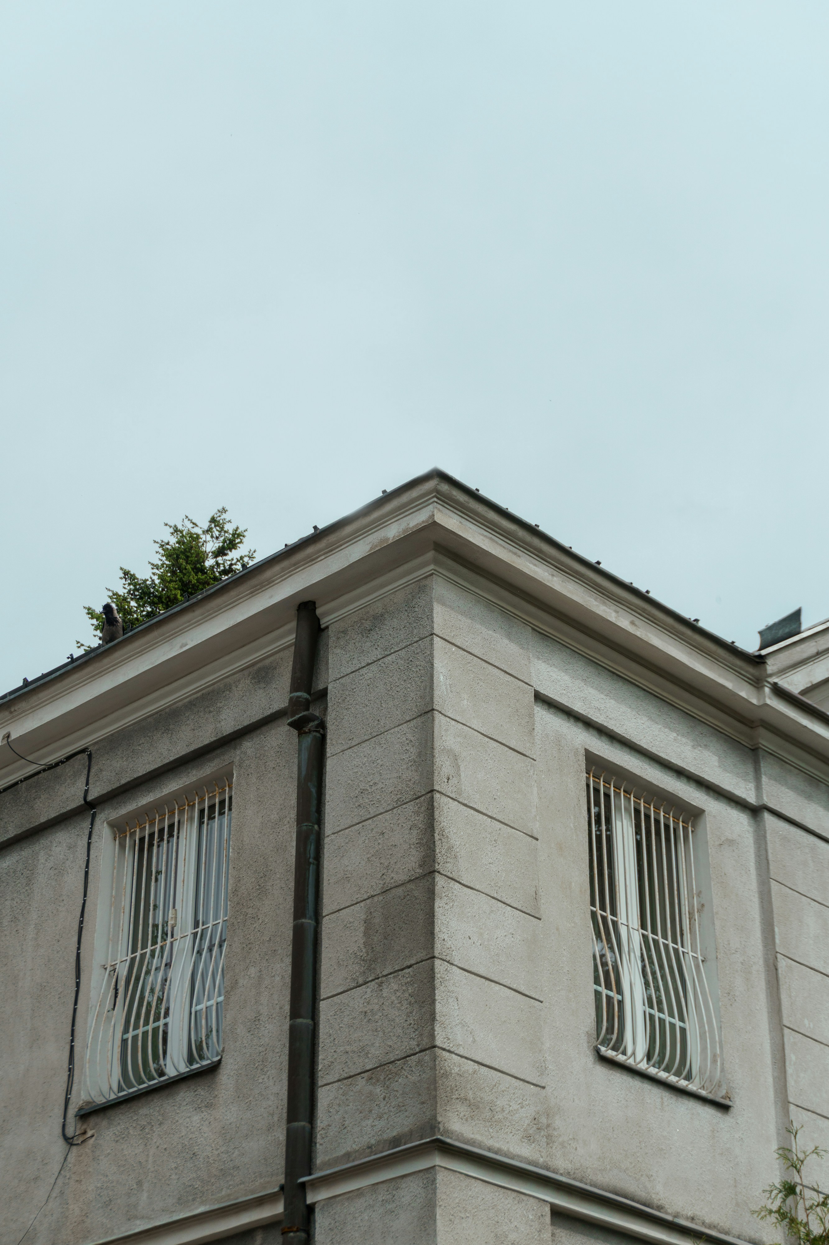 Building Corner Pictures | Download Free Images on Unsplash