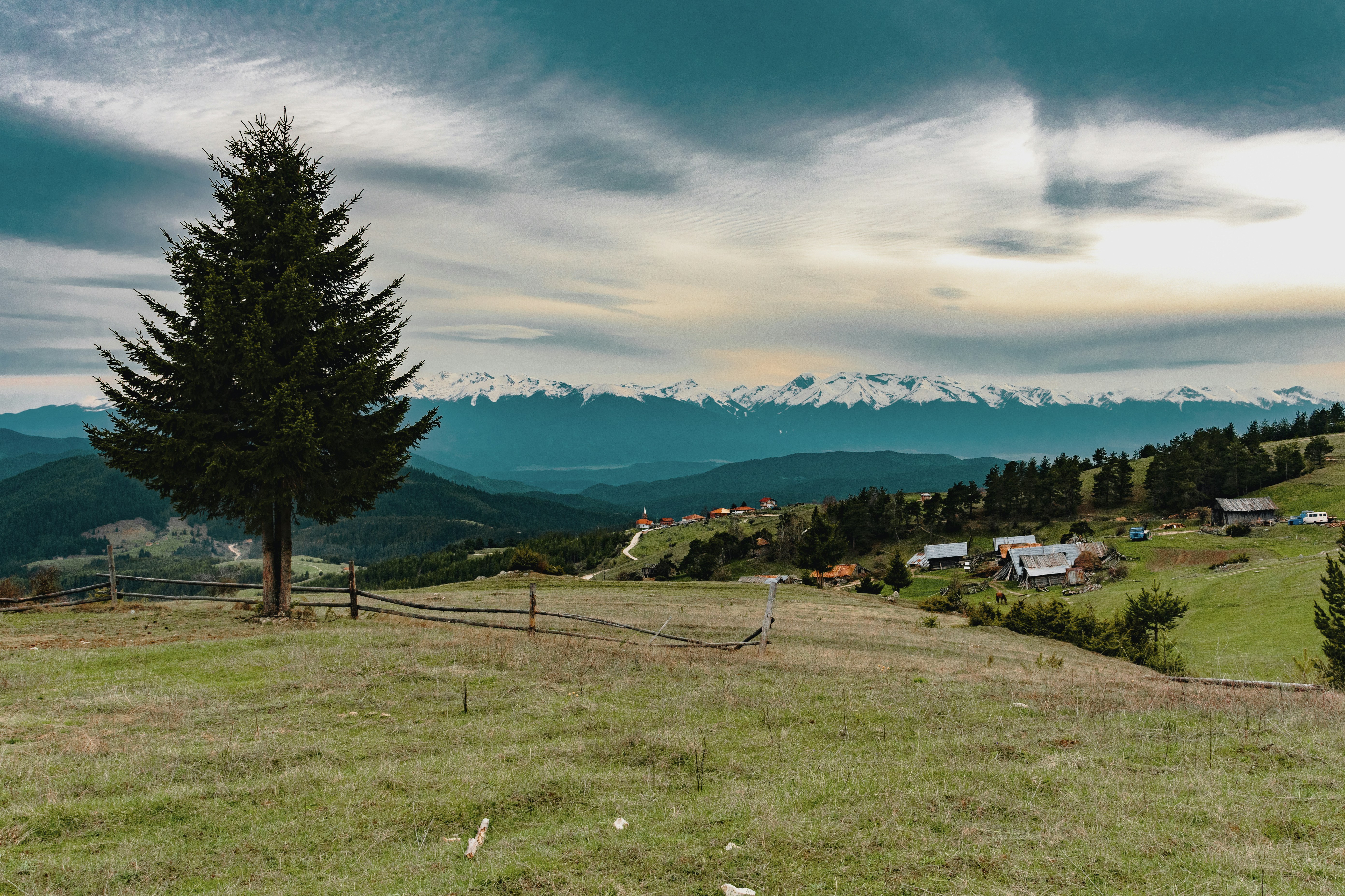 Solitary Pine Overlooking Alpine Hamlet