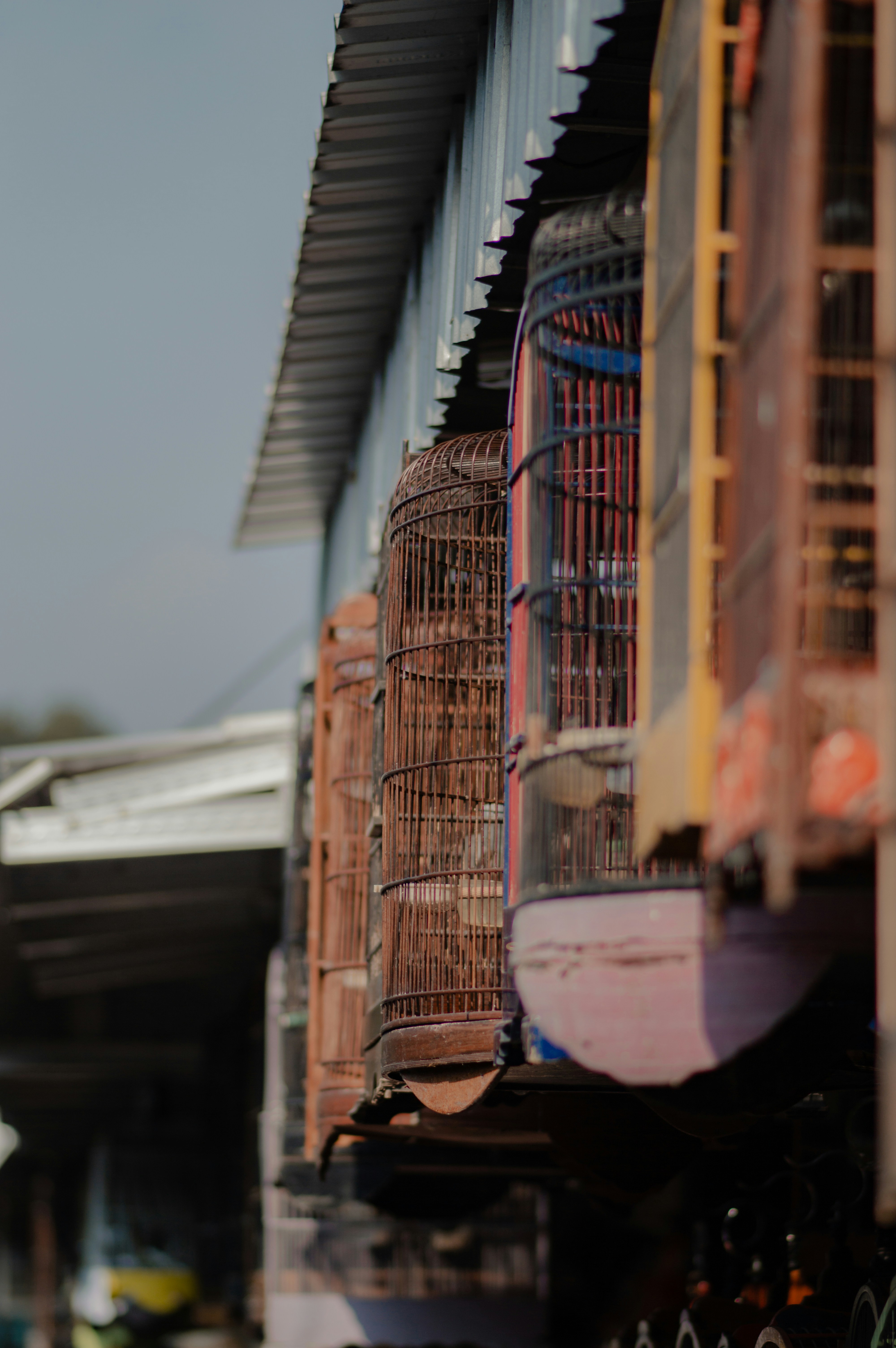 Row of Weathered Bird Cages Under Market Eaves