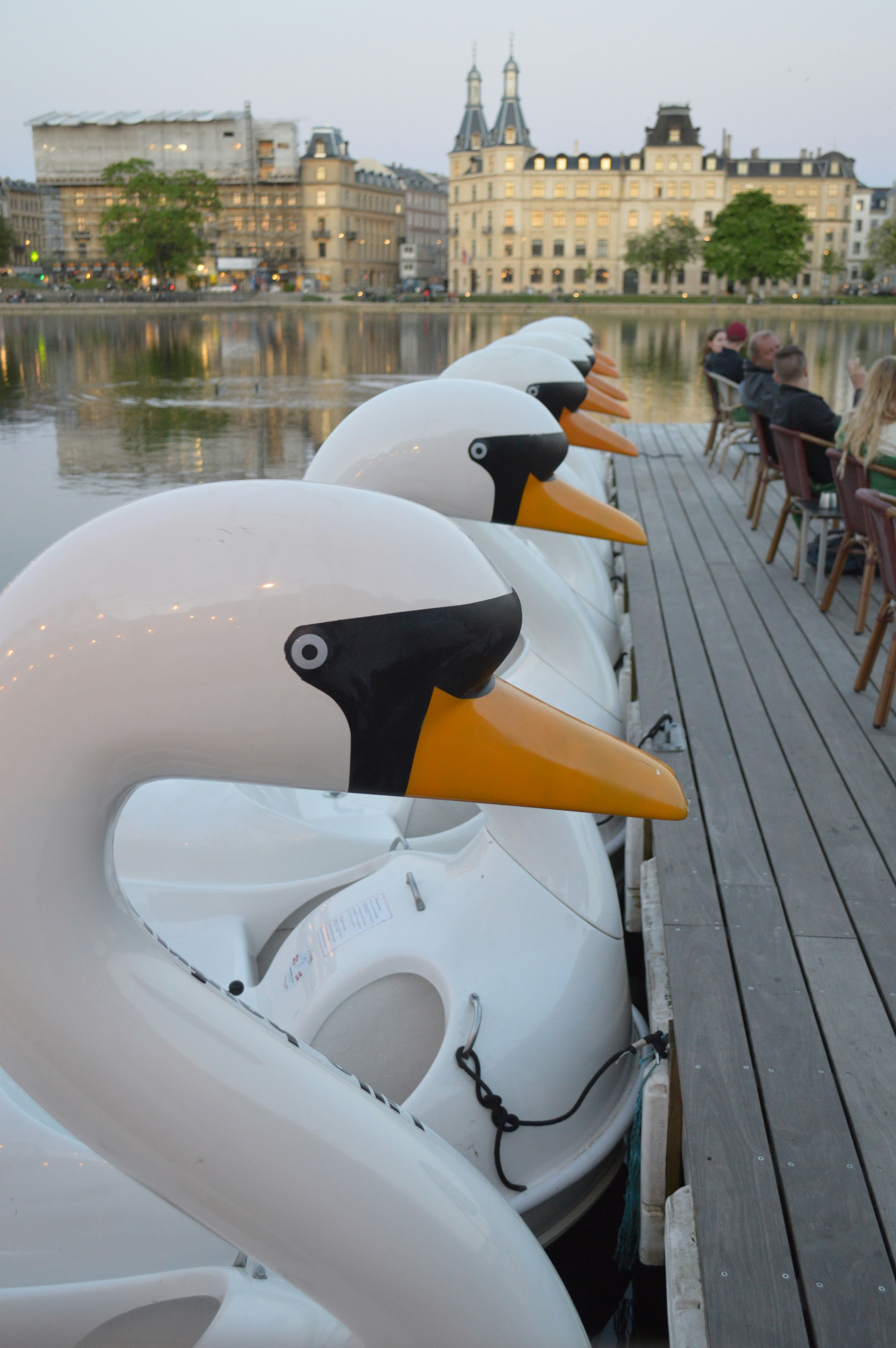White and black duck inflatable float on dock during daytime photo ...