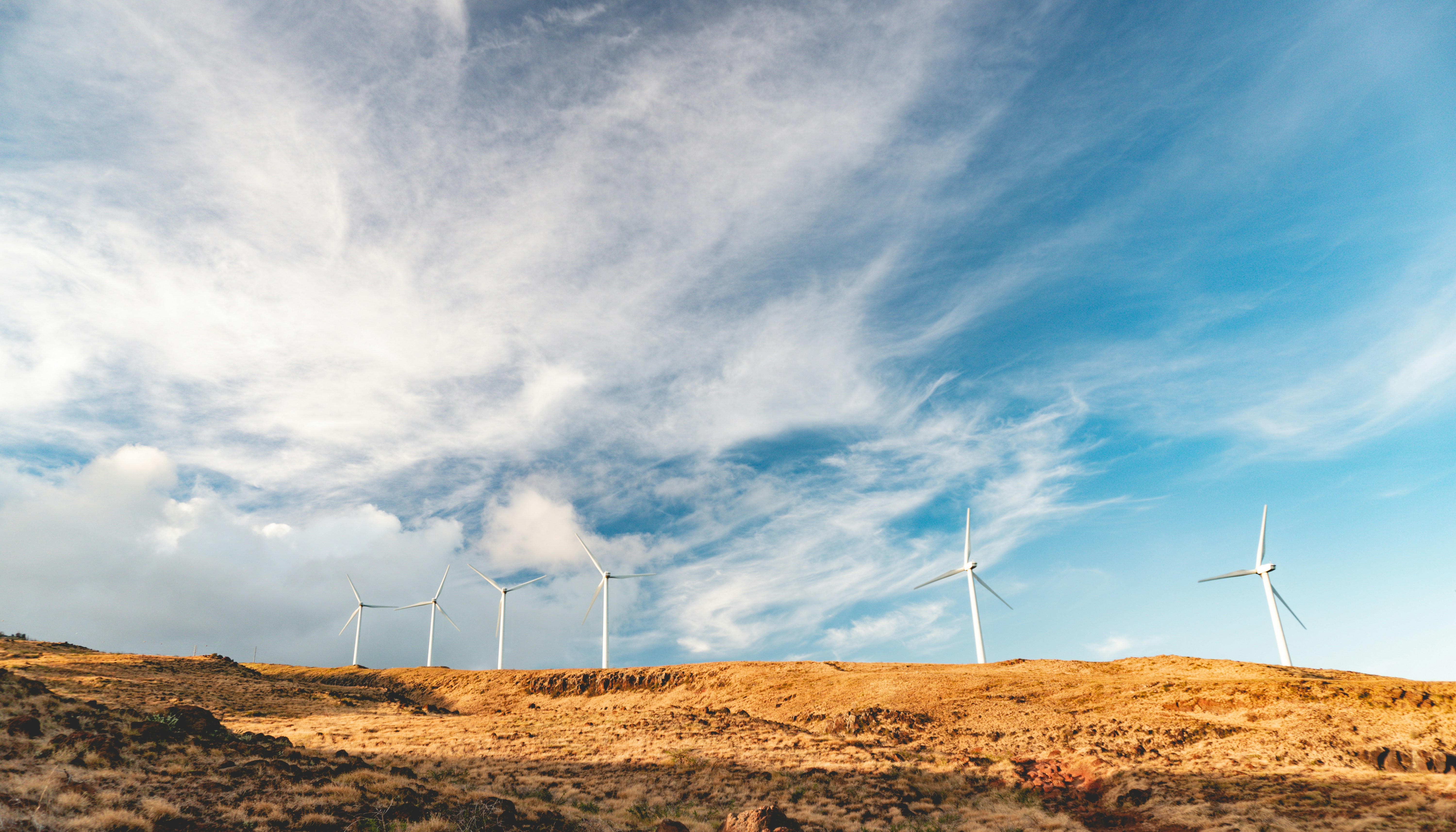 windmills, on a sunny maui day