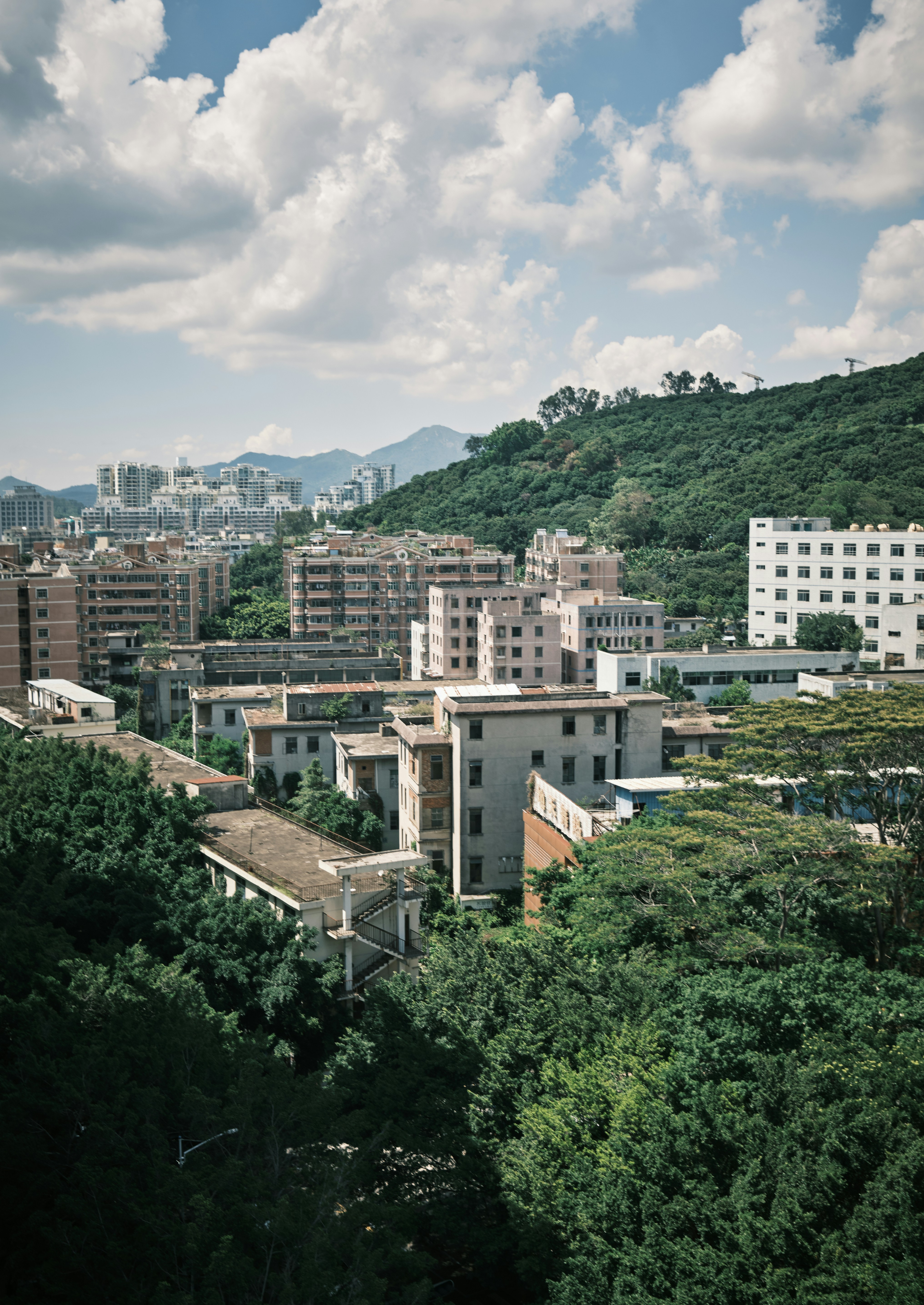 Overhead view of a dense urban landscape interspersed with greenery, showcasing a blend of modern buildings and natural elements. The scene captures the coexistence of city life and nature.