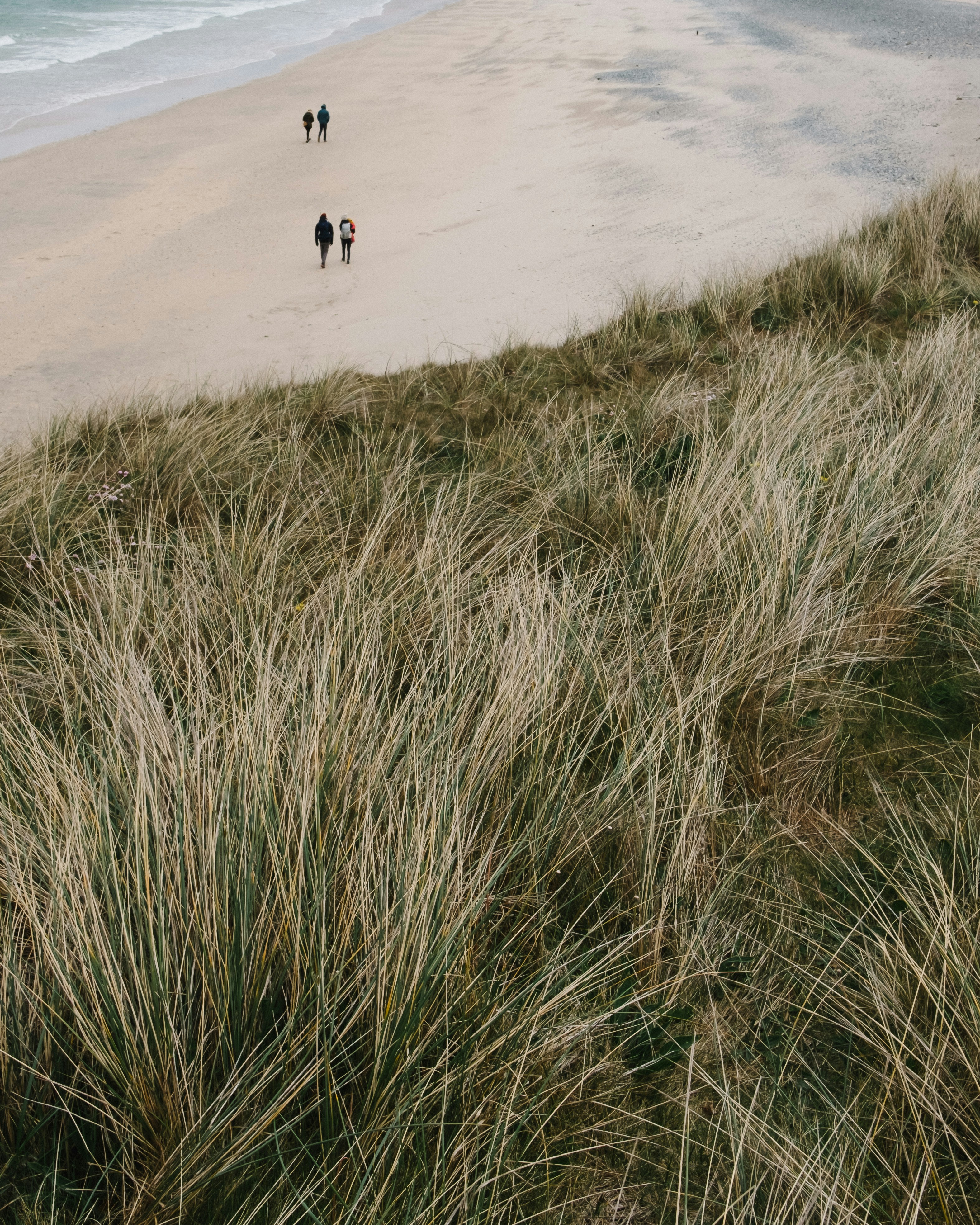 Dune-edge strollers: distant beachgoers framed by wind-swept grass