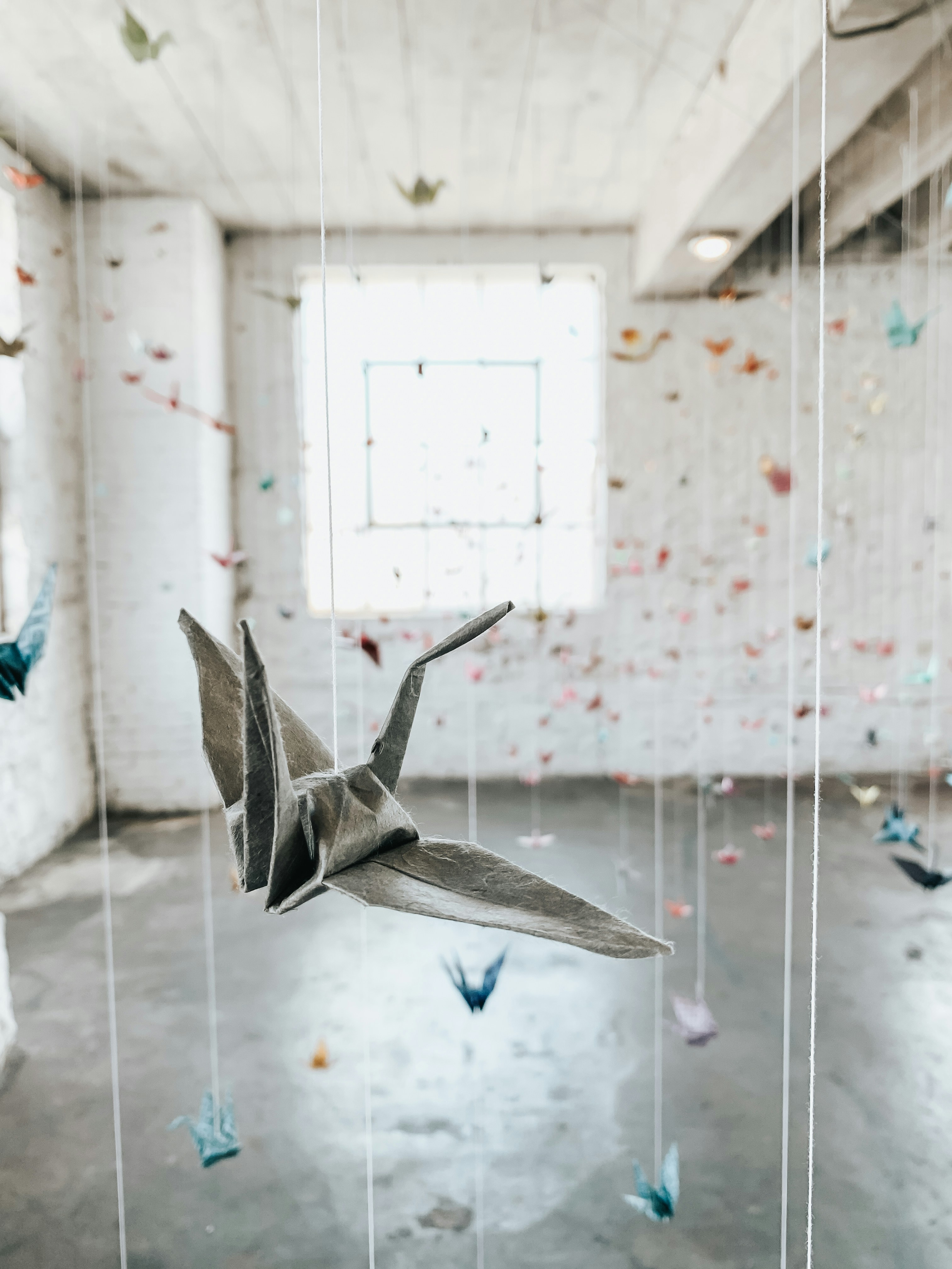 Suspended Origami Cranes in a Sunlit Industrial Space