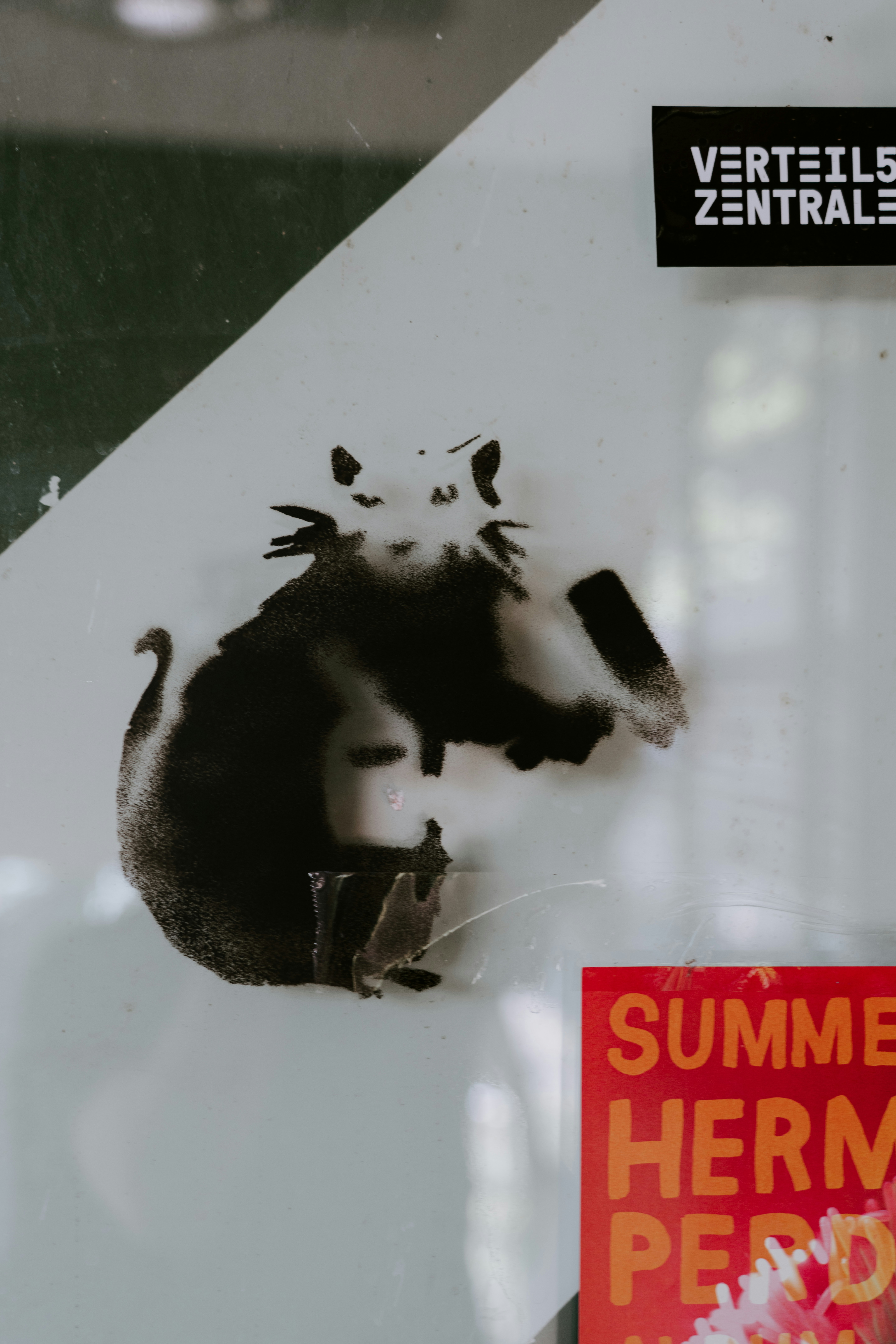 Panda on Glass: A Minimal Sticker Amid Diagonal Light Planes