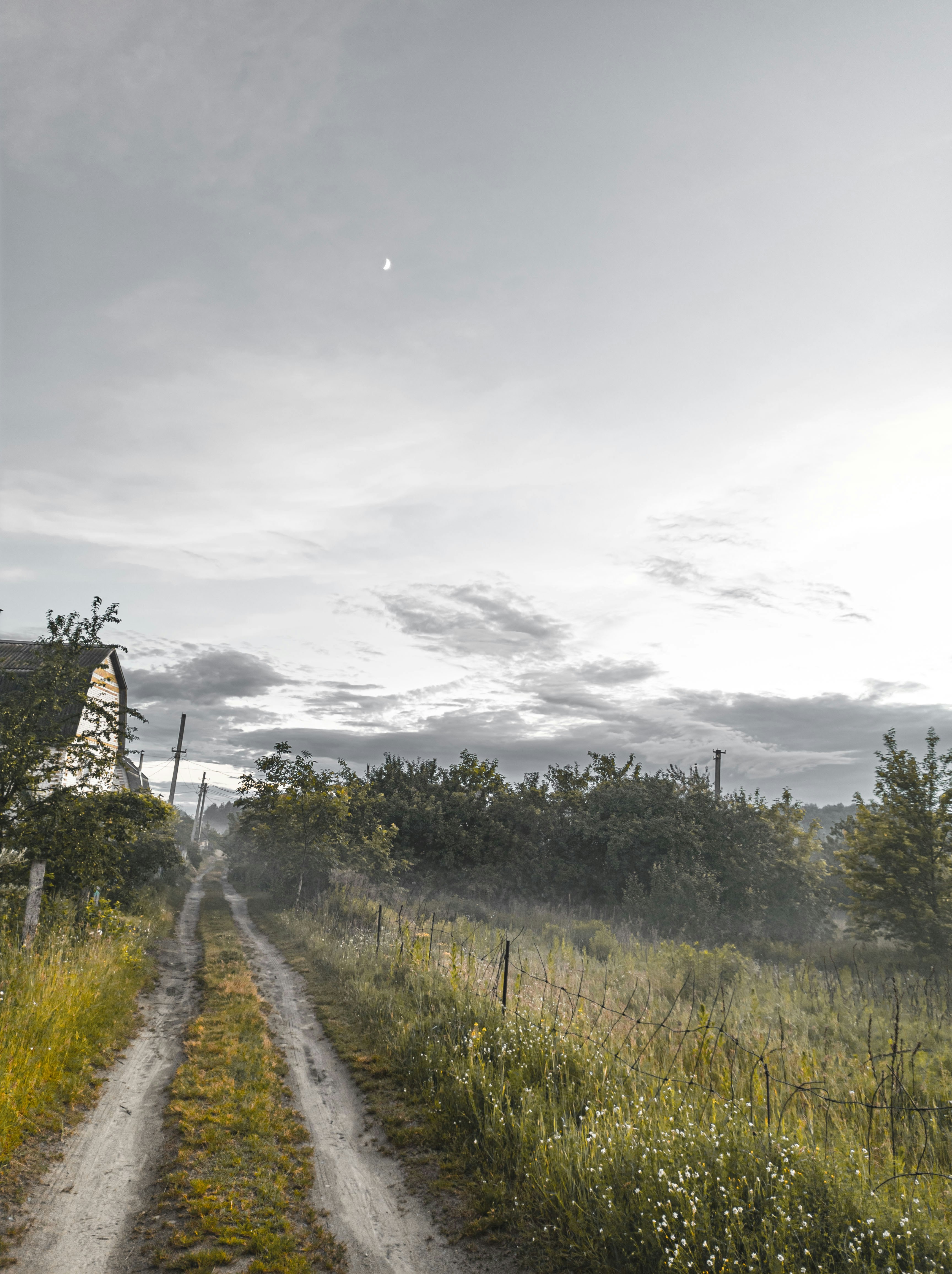 Tumblr Country Photography