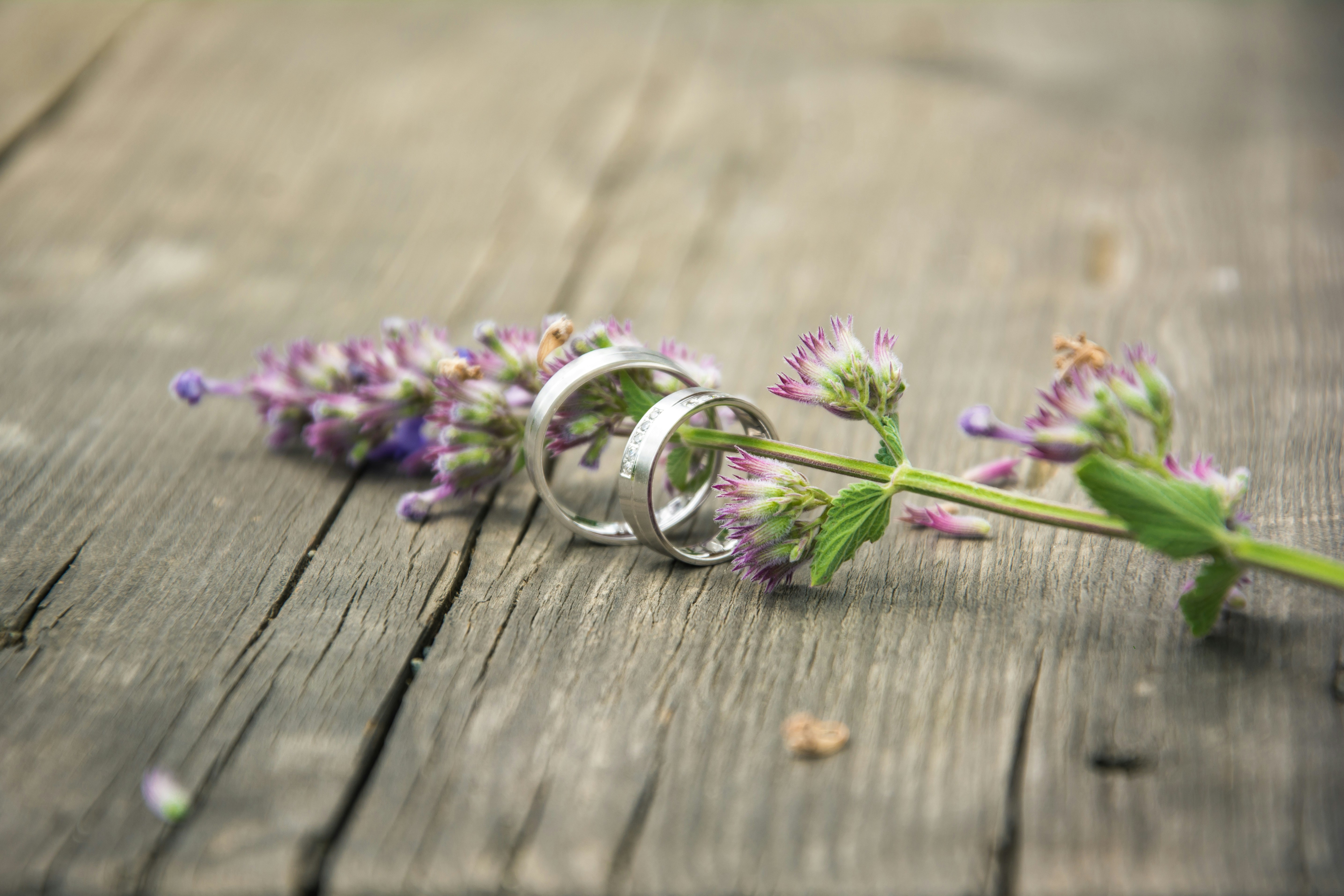 Two Rings Resting on Weathered Wood, Bound by Lavender Sprigs