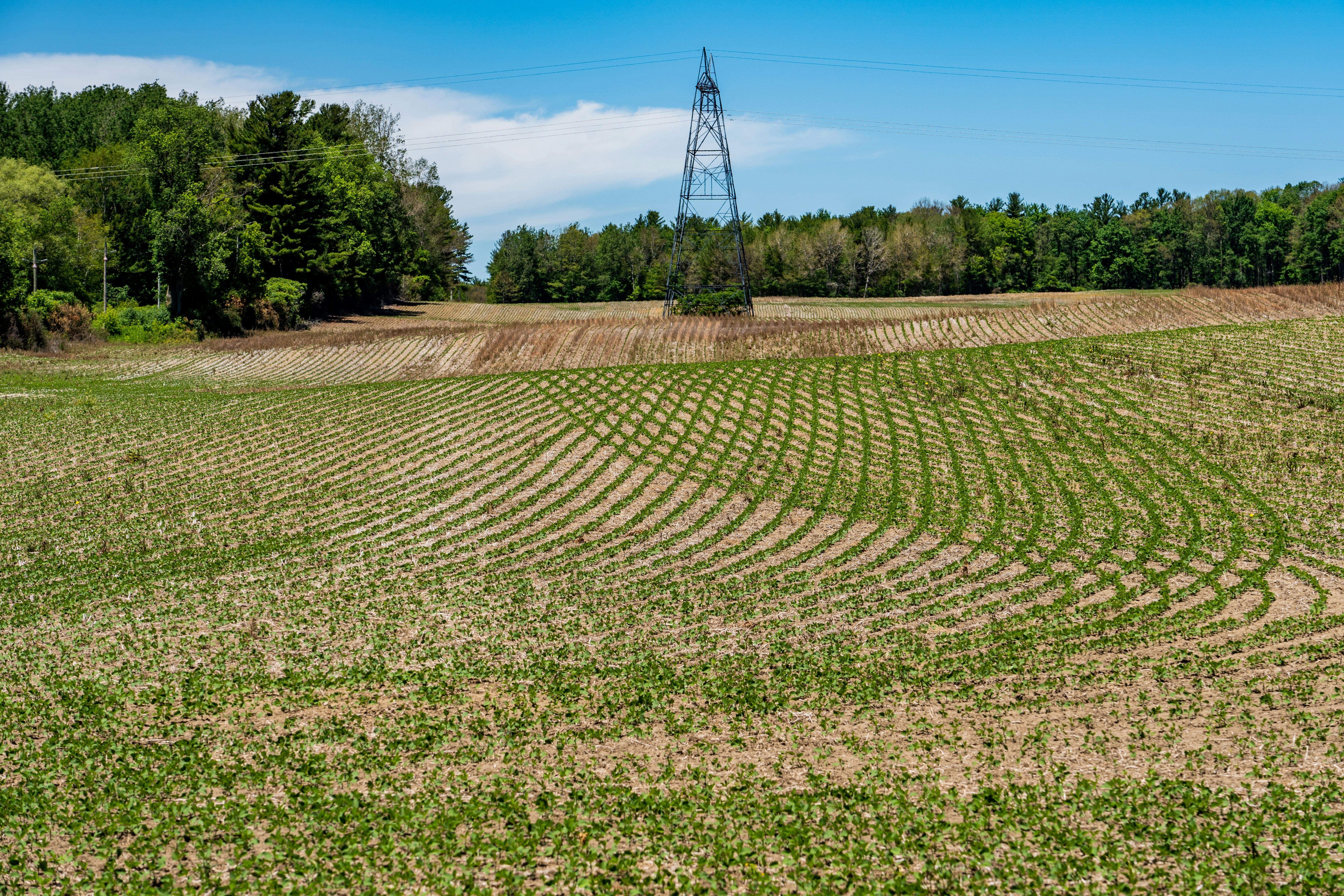 Curvilinear Furrows Converge Toward a Distant Transmission Tower