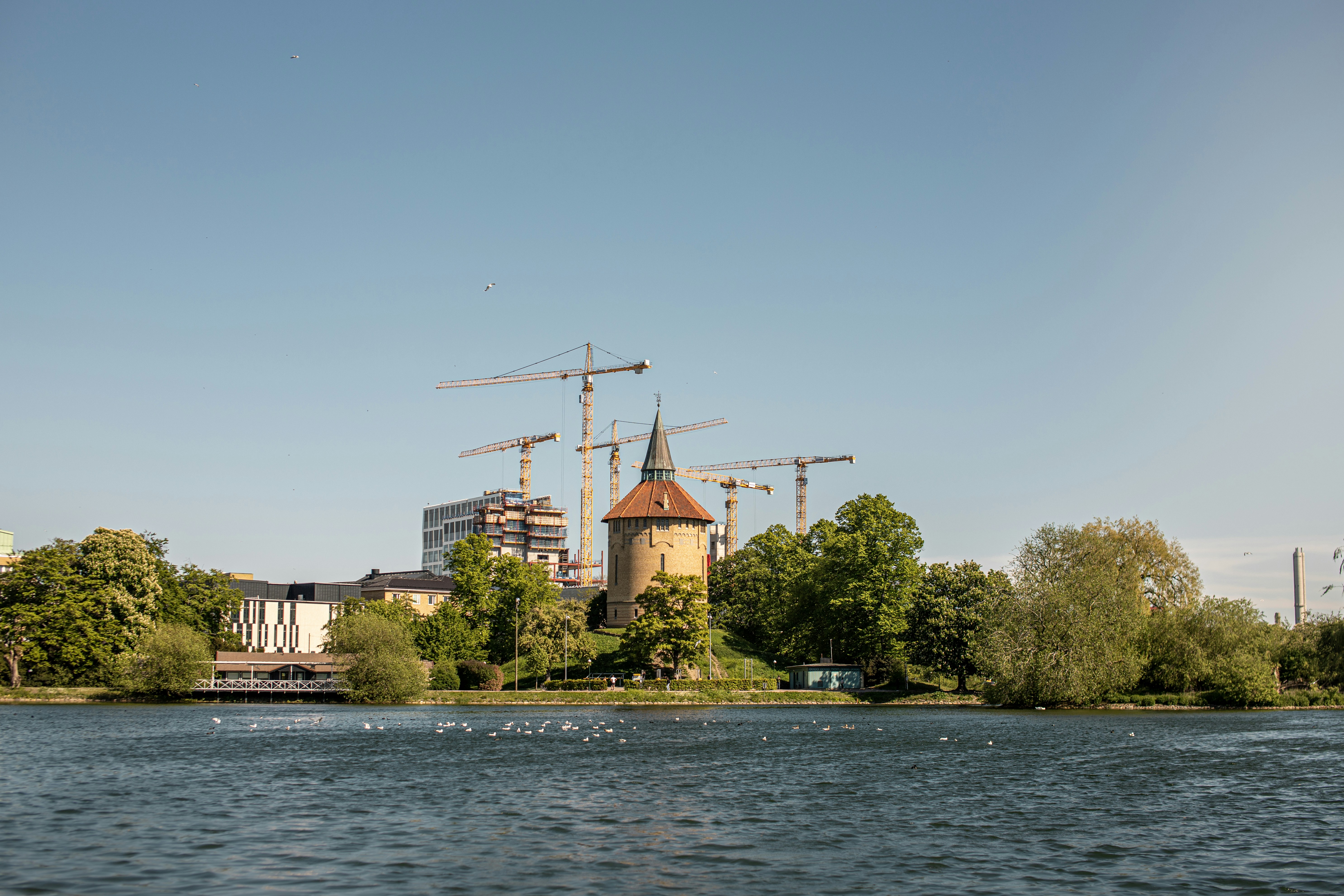 Historic tower surrounded by lush greenery and modern construction cranes, reflecting the blend of old and new architecture. 