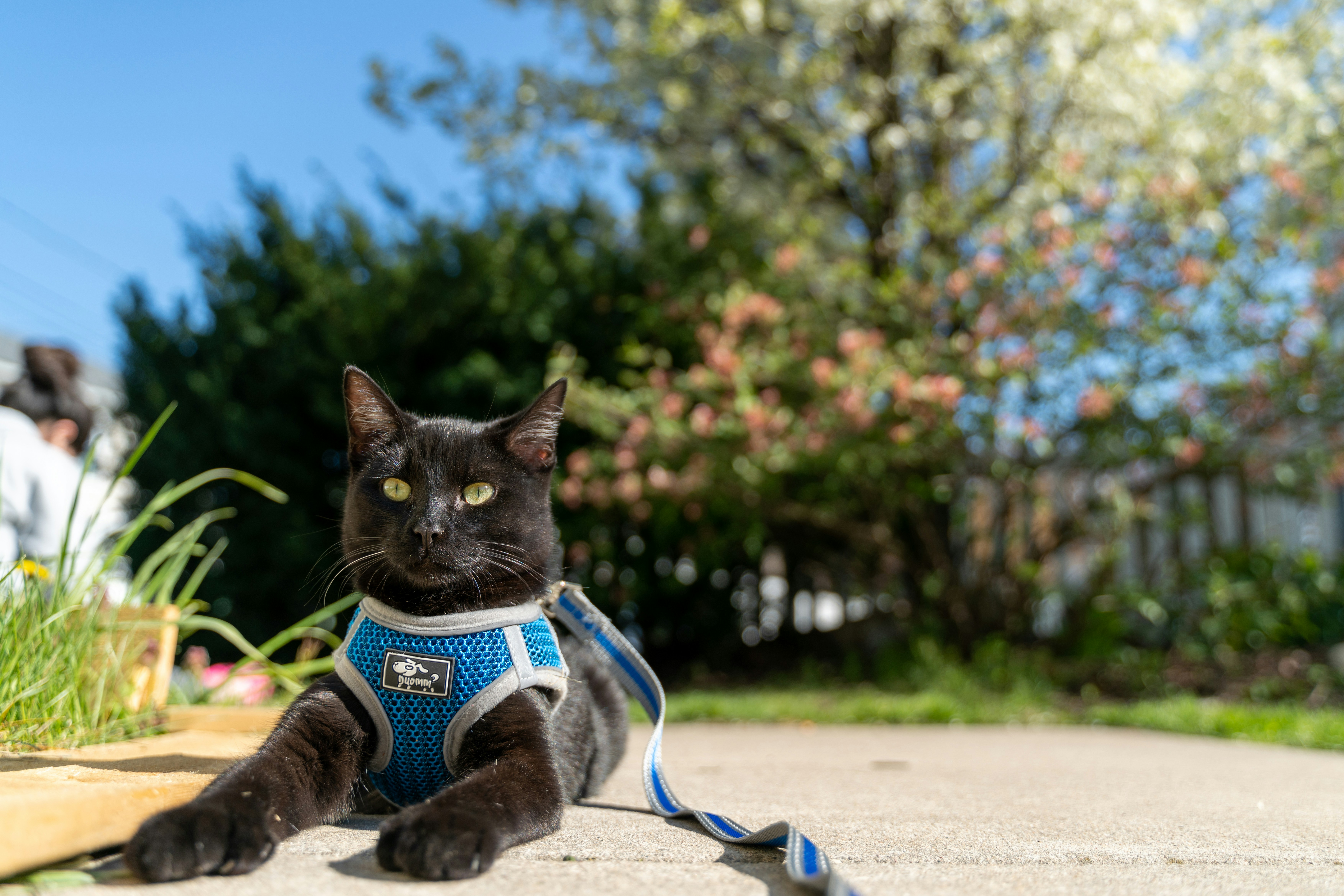 Photo by Haewon Oh with Sony Alpha 7R II