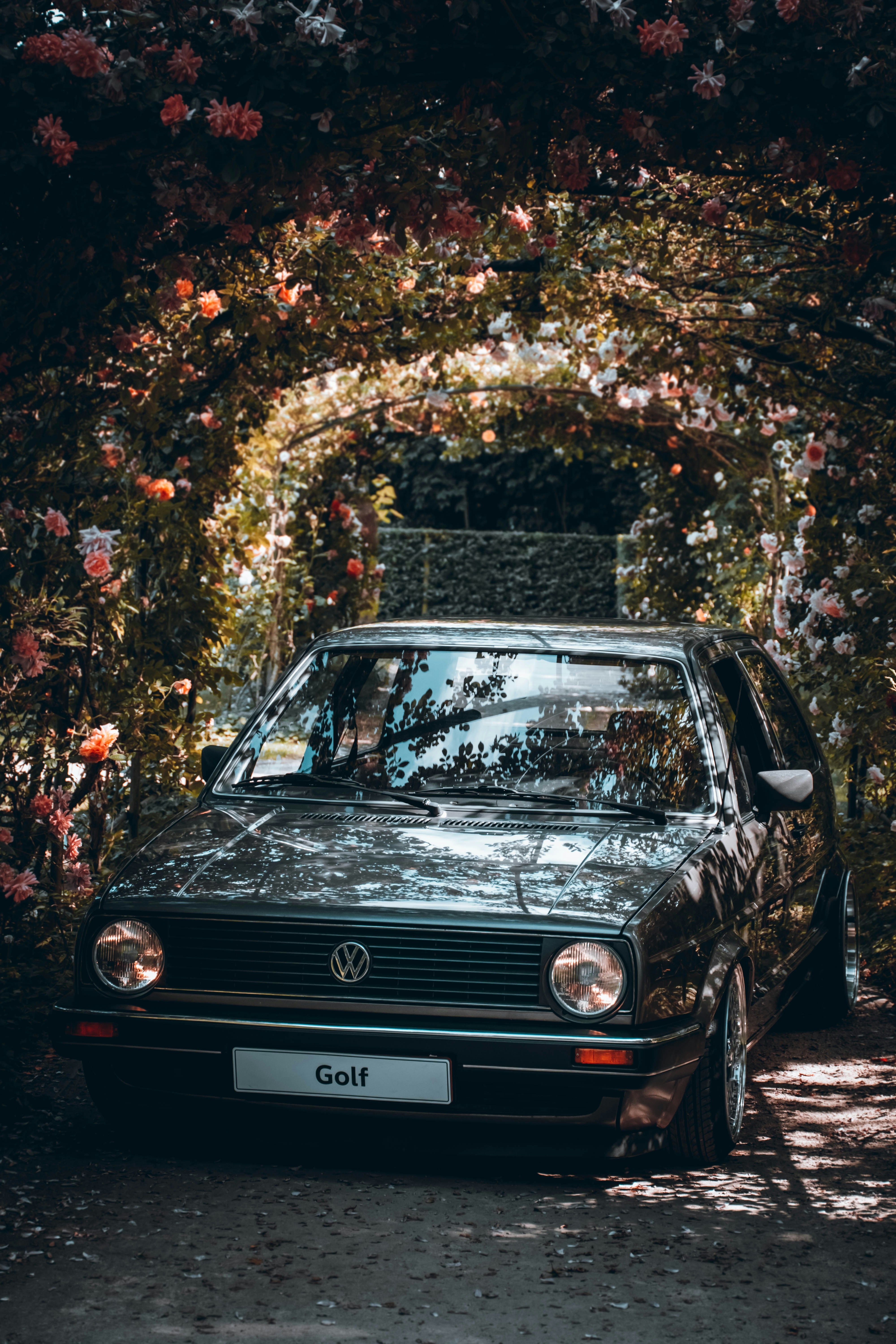 Under the Floral Arch: A Classic VW Golf in a Sunlit Bloom Tunnel