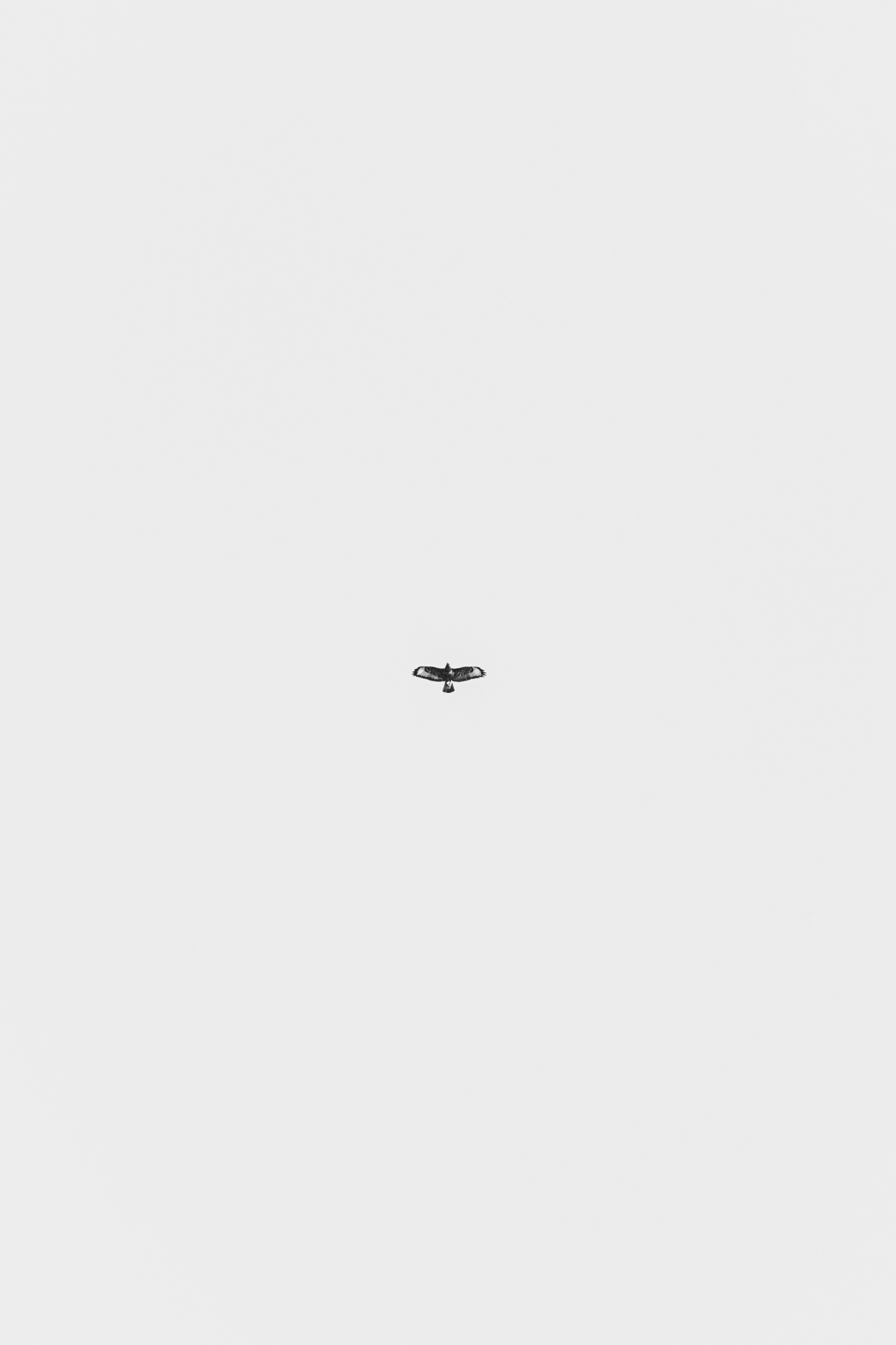 A lone aircraft gracefully suspended in a minimalistic sky, emphasizing the contrast between man-made engineering and the expansive emptiness surrounding it.