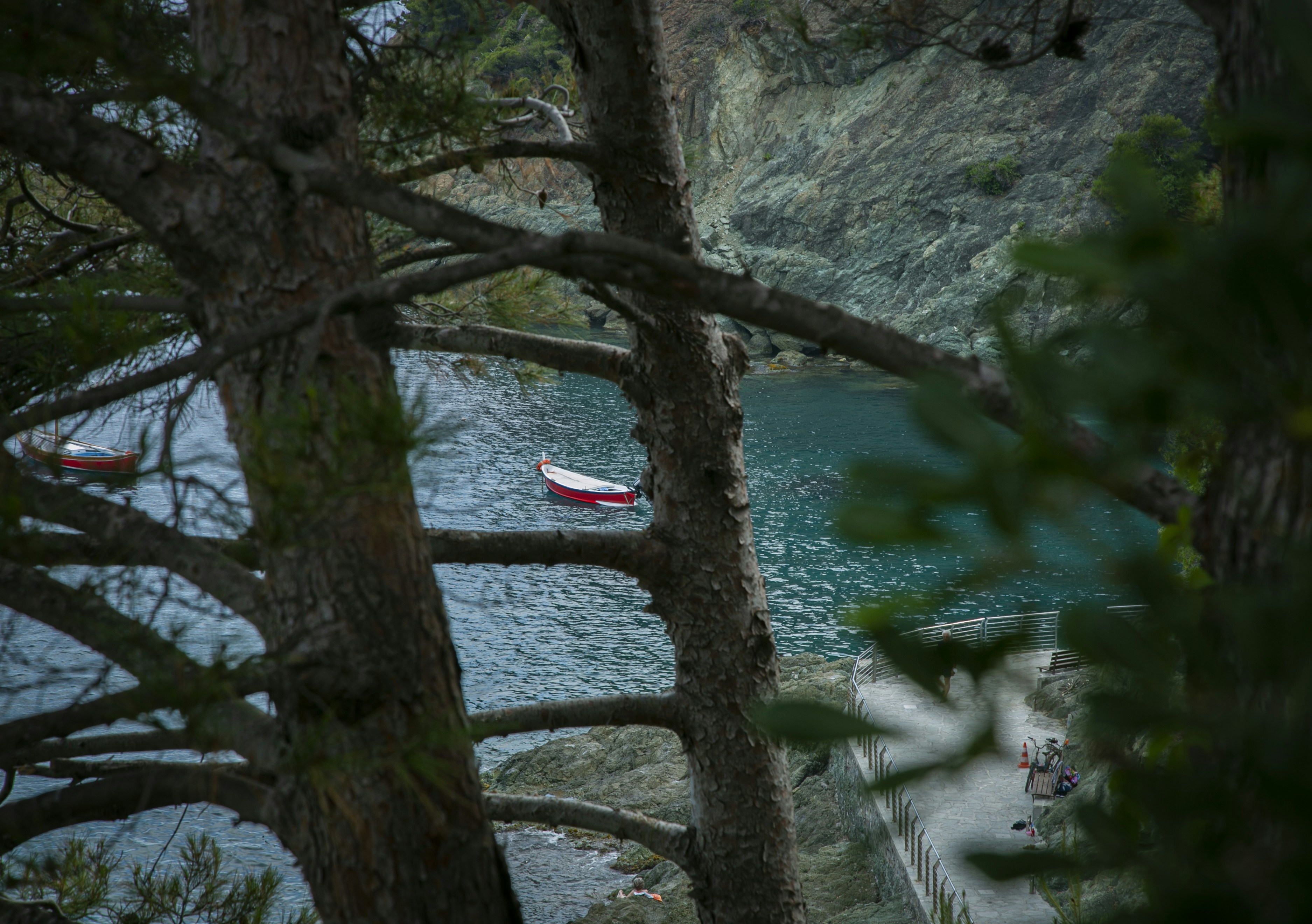 Red Boat Framed by Pines on a Quiet Coastal Cove