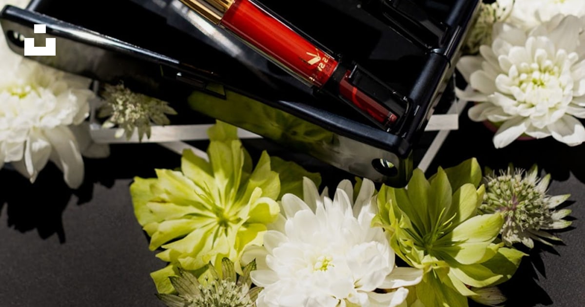 Black And Red Makeup Brush In Box Photo Free Philadelphia Image On