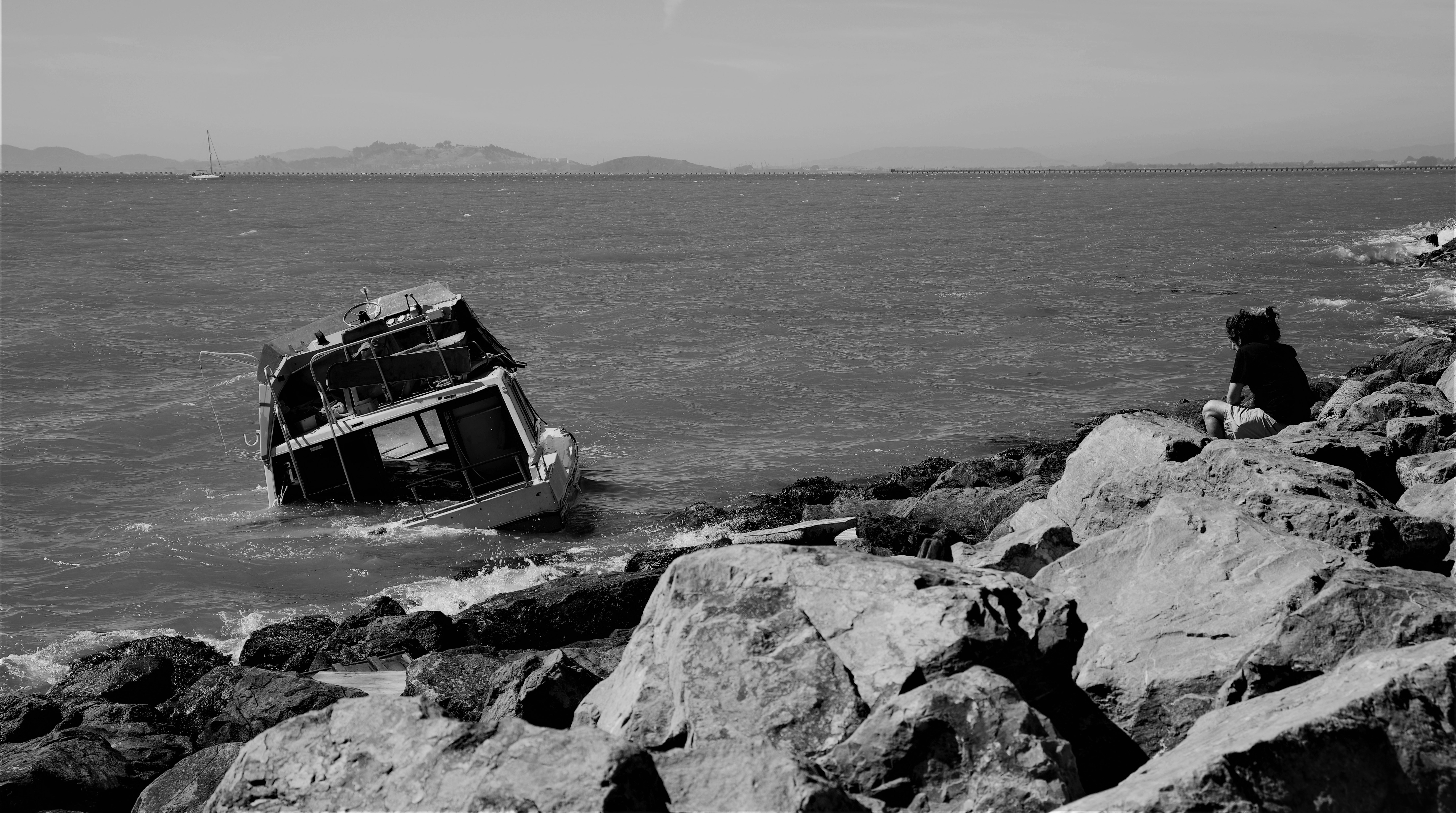 Bugz Bunni (@bugz_bunni) | Comunidade de fotos da Unsplash