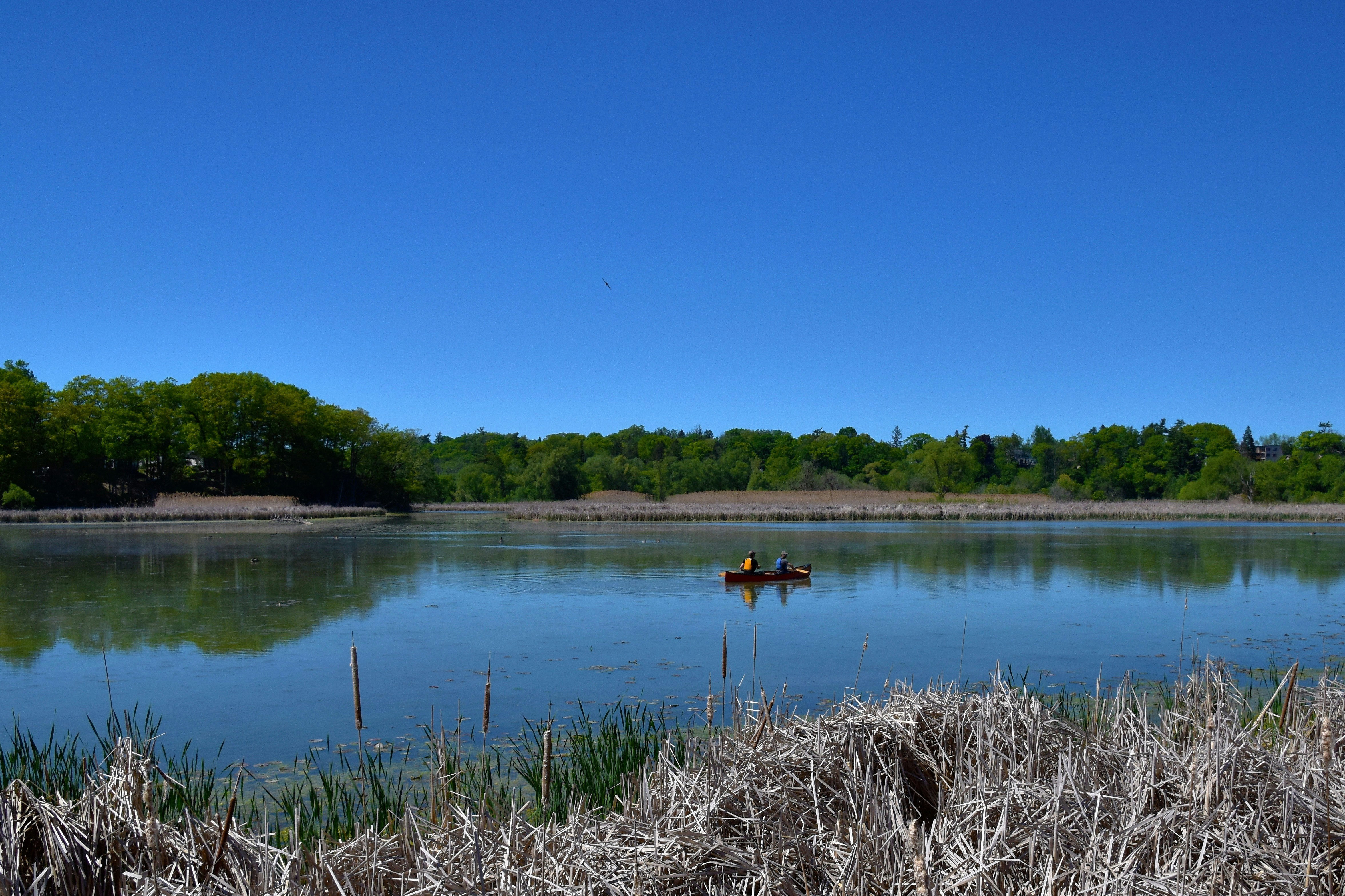 Kayaker paddling across a tranquil lake surrounded by lush greenery under a clear blue sky.