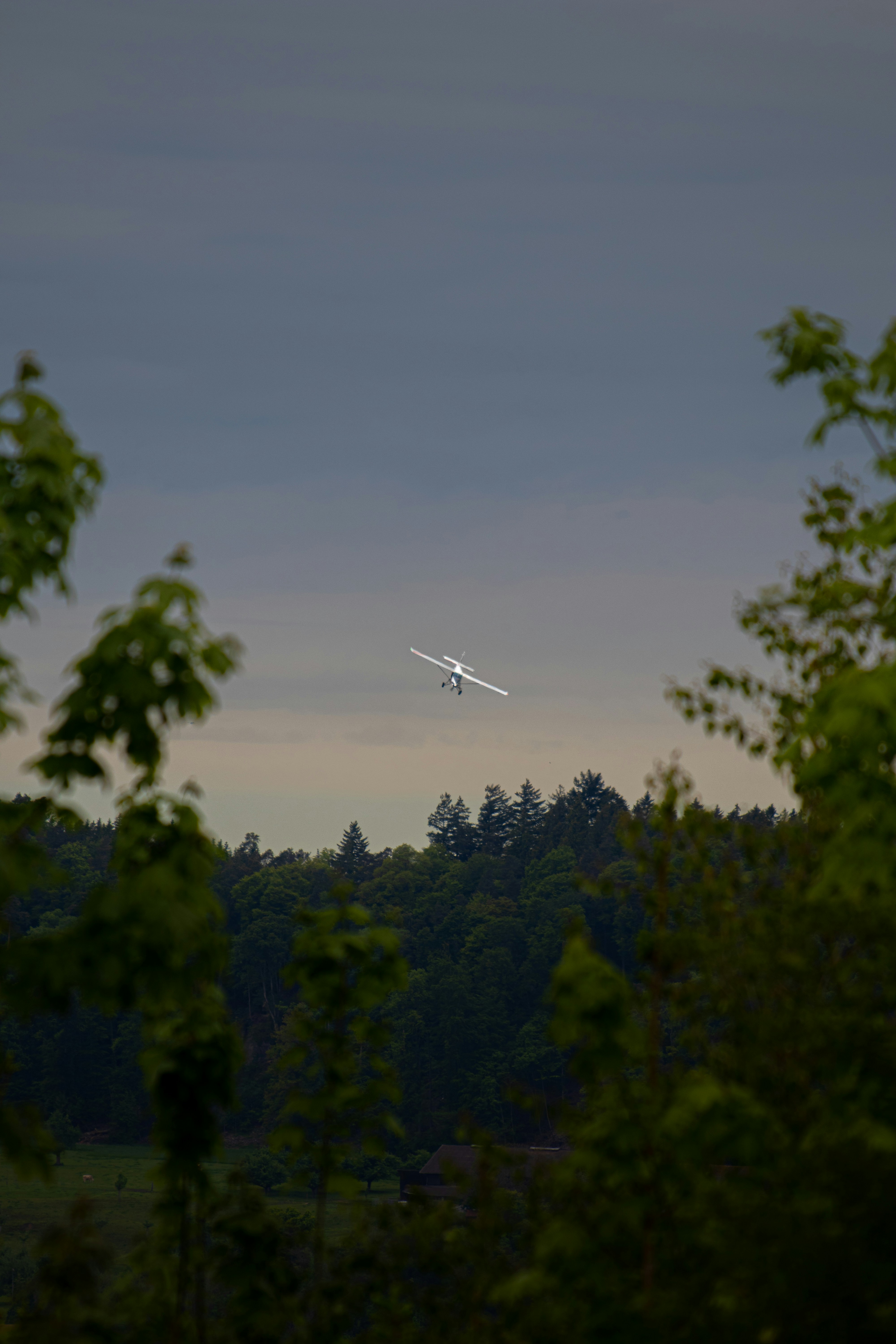 A small aircraft glides gracefully through a cloudy sky, framed by lush green trees. The serene landscape contrasts with the dynamic motion of flight.